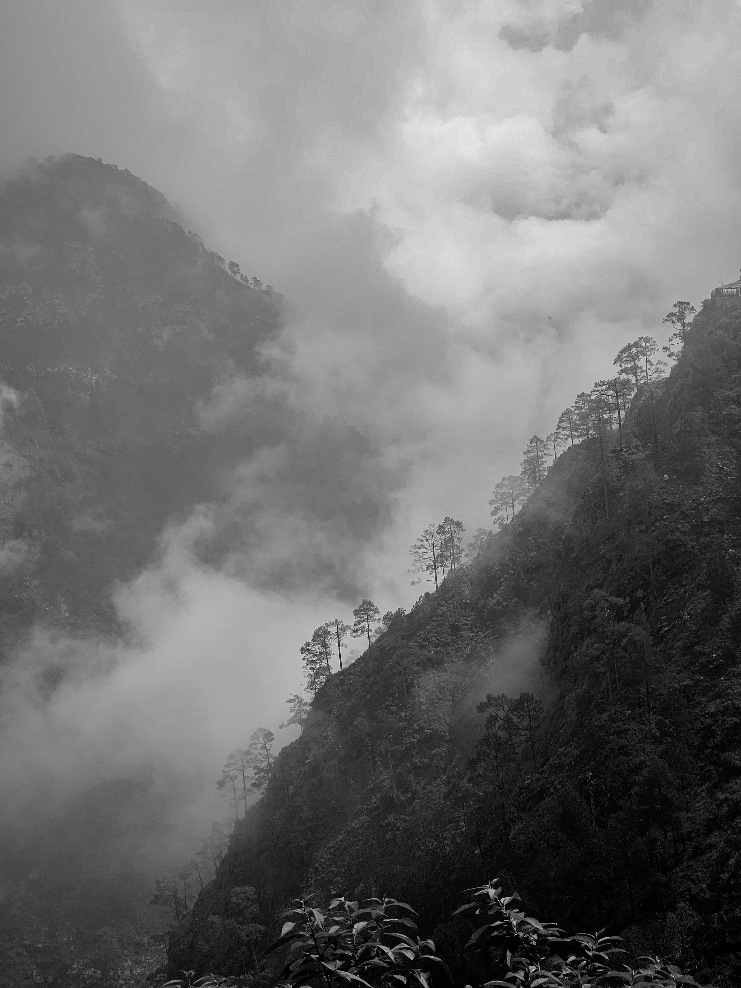 100.000+ Scroller+girls+small+size+hd Bilder und Fotos · Kostenlos ...