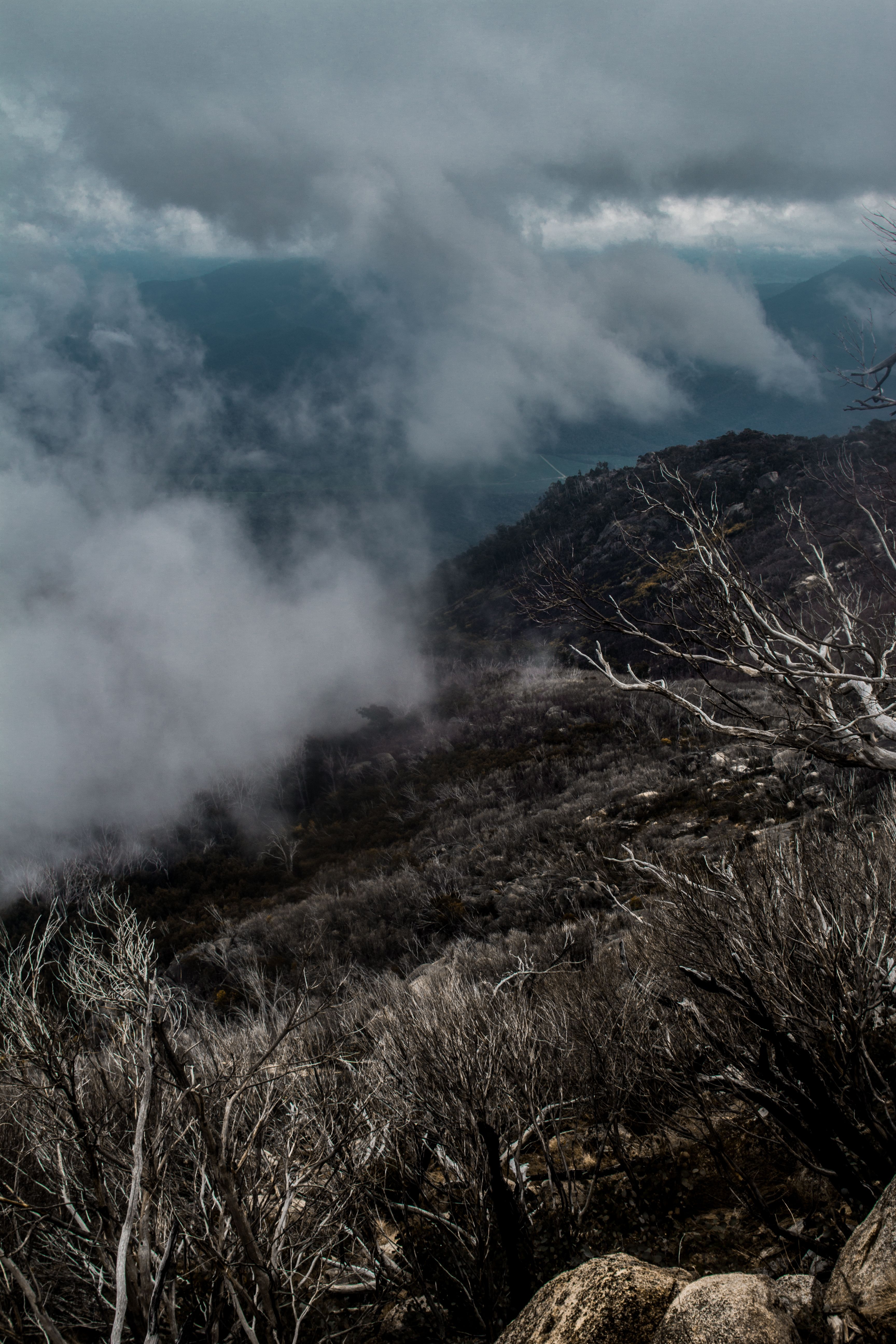 Misty Landscape of Mount Buffalo in Winter · Free Stock Photo