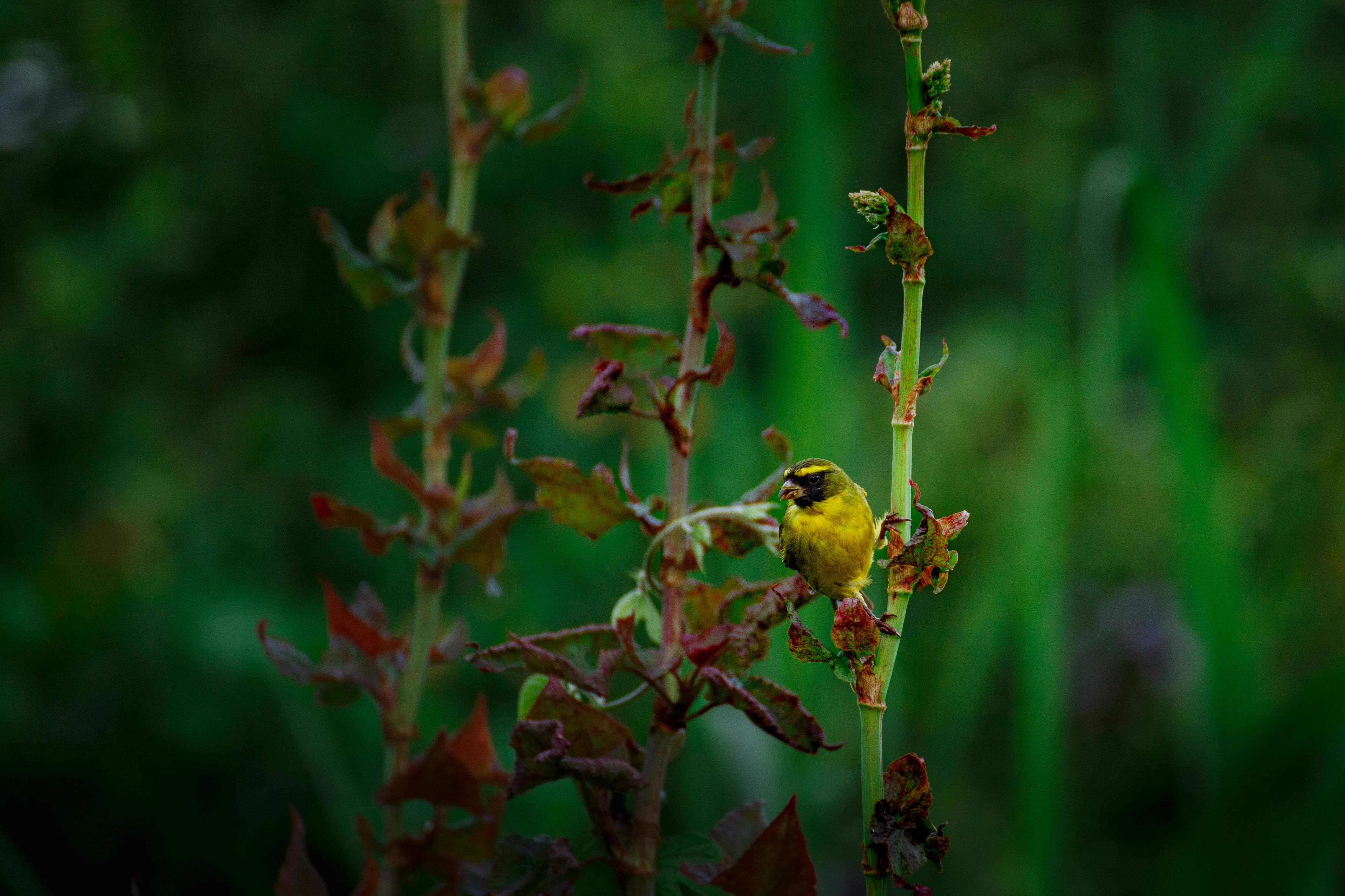 Shutter Tales - 摄影