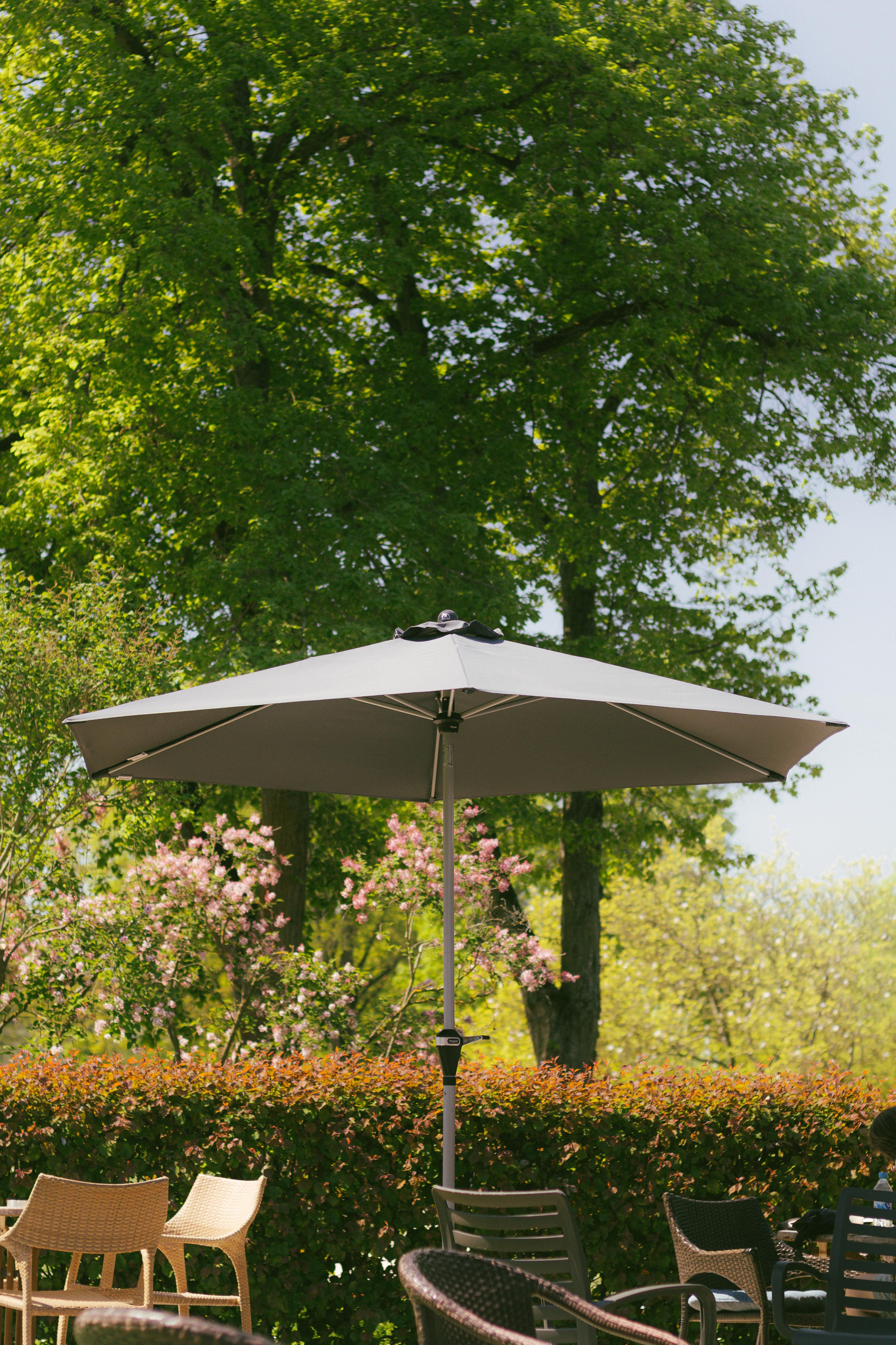 Tranquil Outdoor Park with Umbrella and Greenery · Free Stock Photo