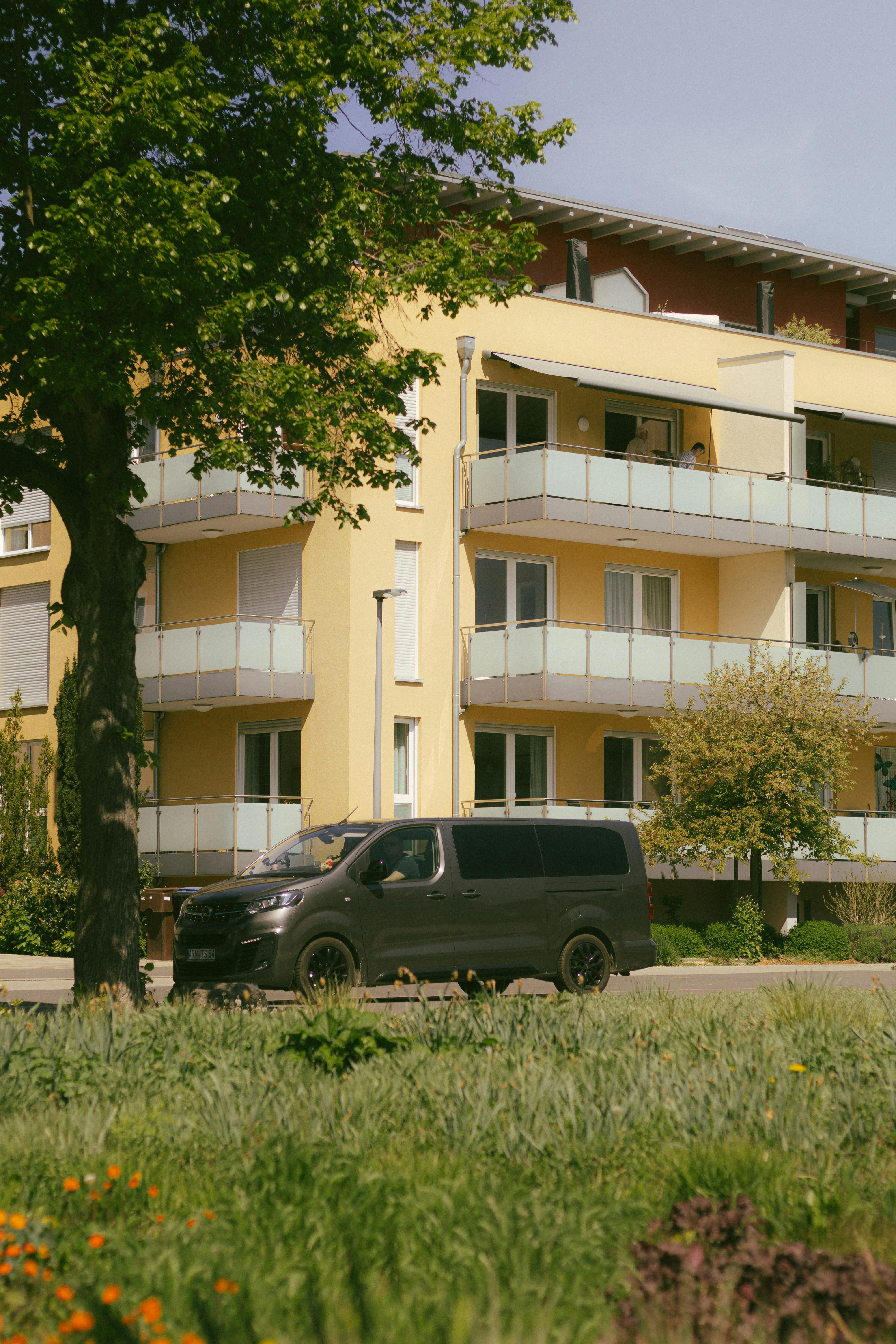 Bus Bun Tree Photos, Download The BEST Free Bus Bun Tree Stock Photos ...