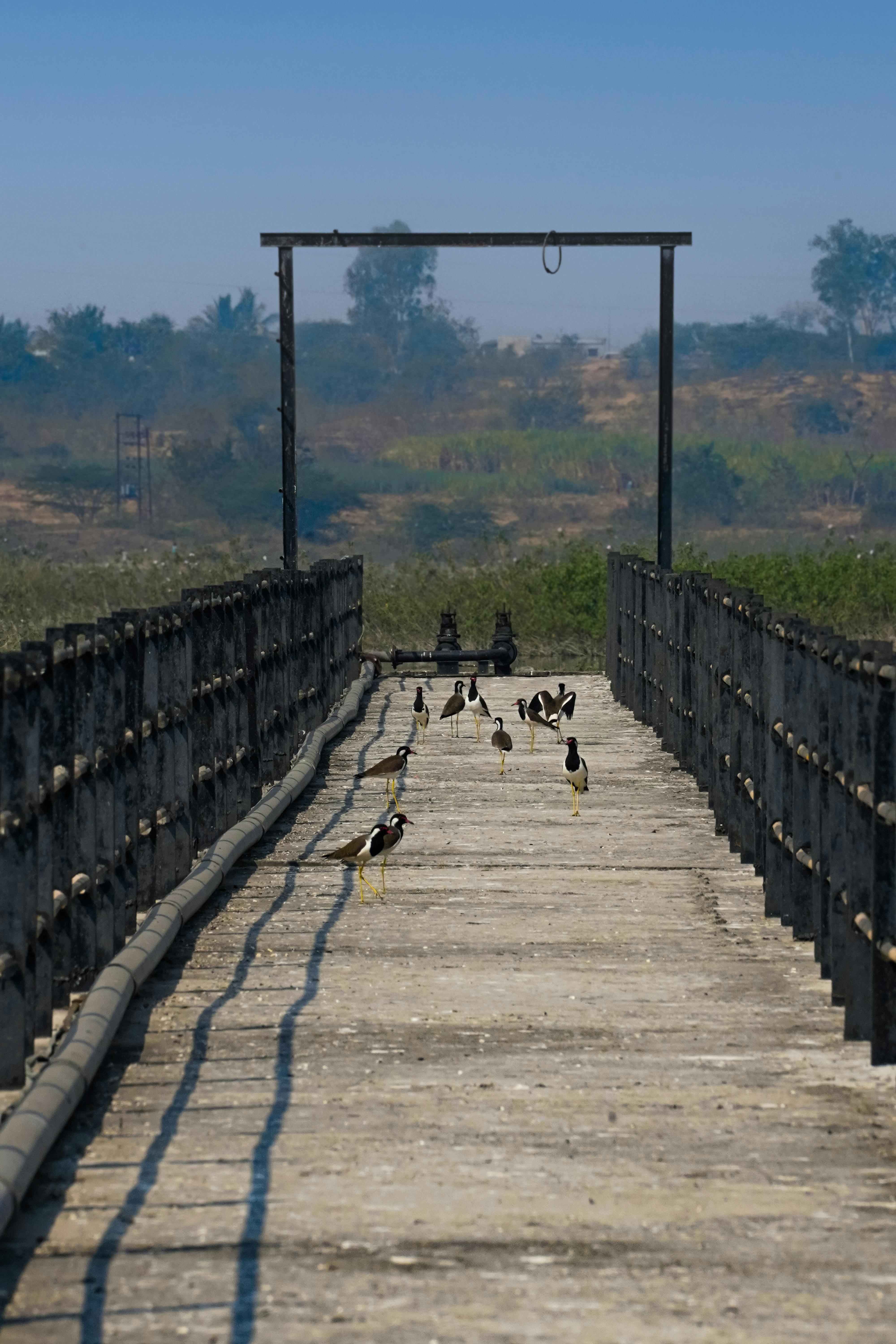 Lonand Photos, Download The BEST Free Lonand Stock Photos & HD Images