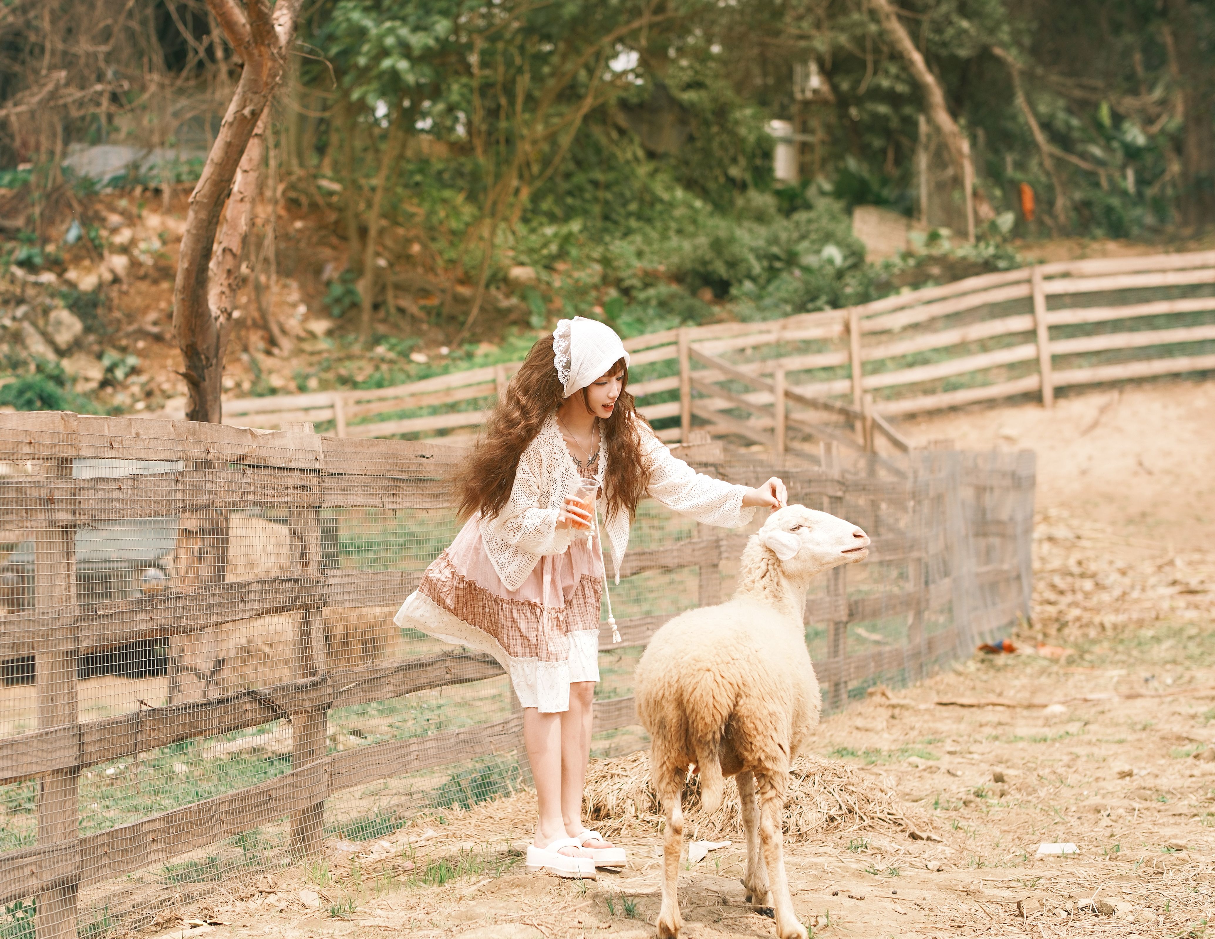 Lighting Lamb Photos, Download The BEST Free Lighting Lamb Stock Photos ...