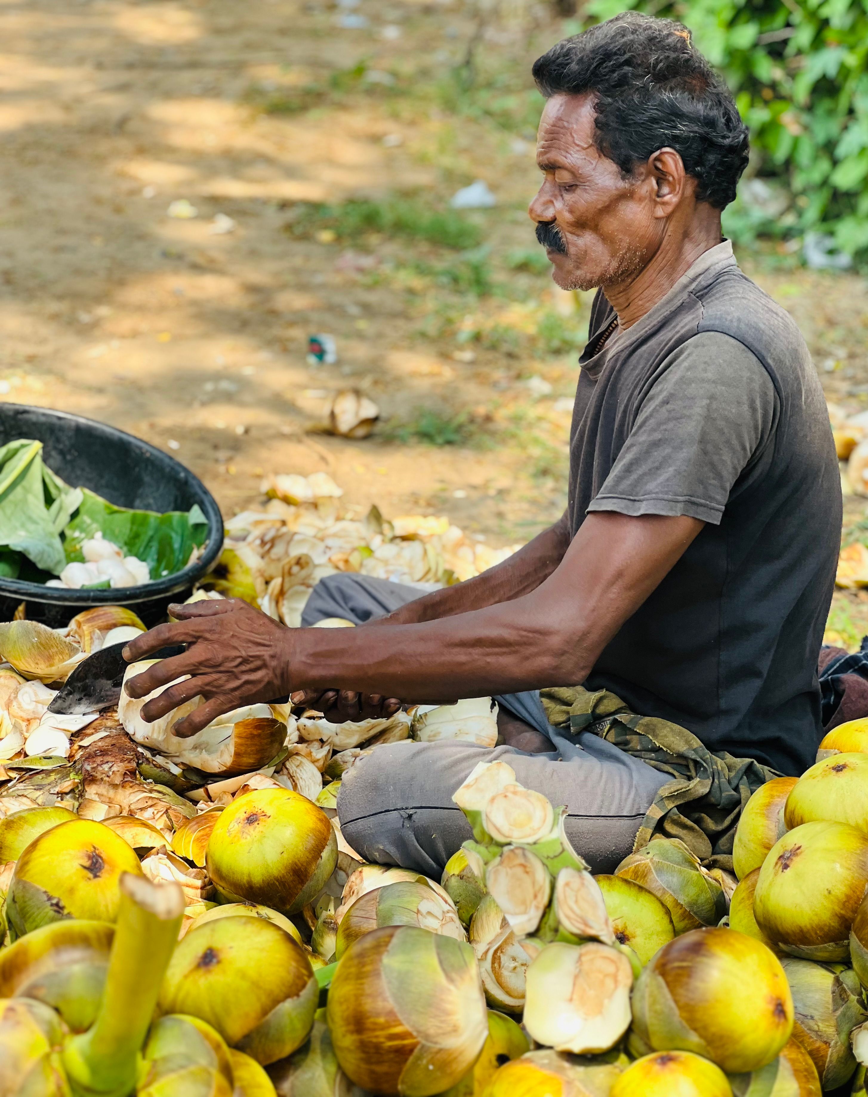 Hombre Preparando Frutos De Palma Al Aire Libre · Foto de stock gratuita