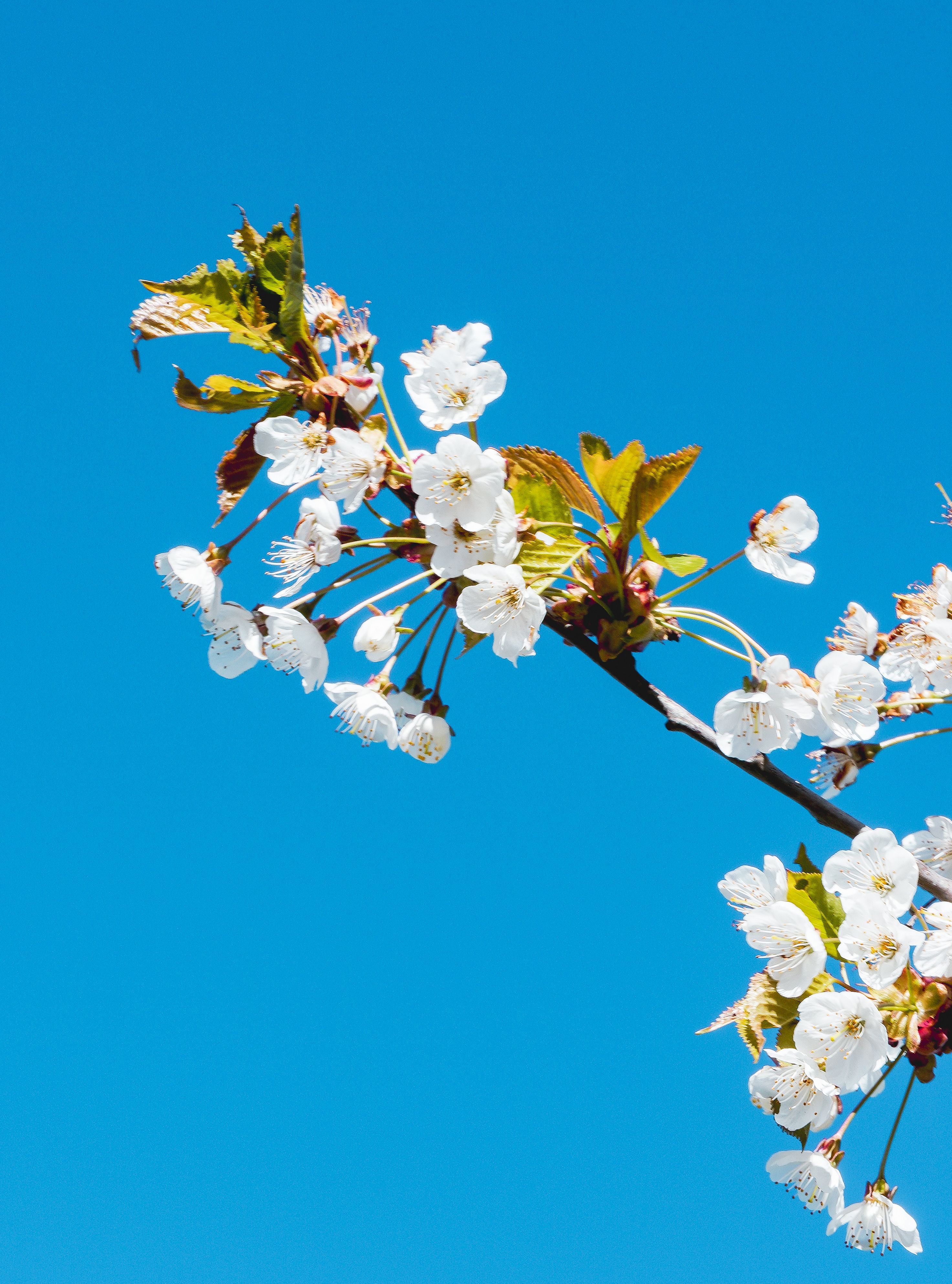 Life Enriching Photos, Download The BEST Free Life Enriching Stock ...