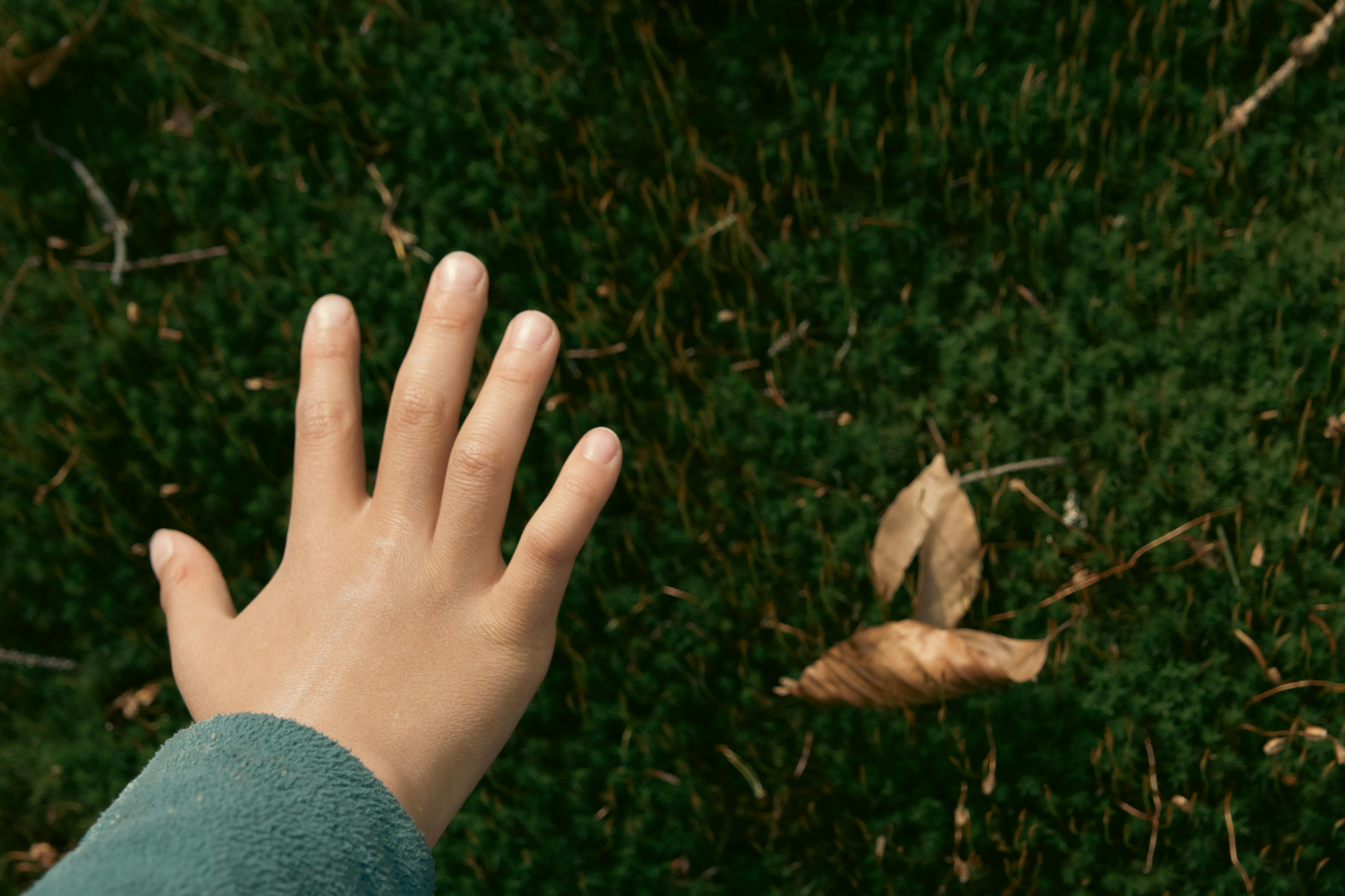 Animerad Hand Photos, Download The BEST Free Animerad Hand Stock Photos ...