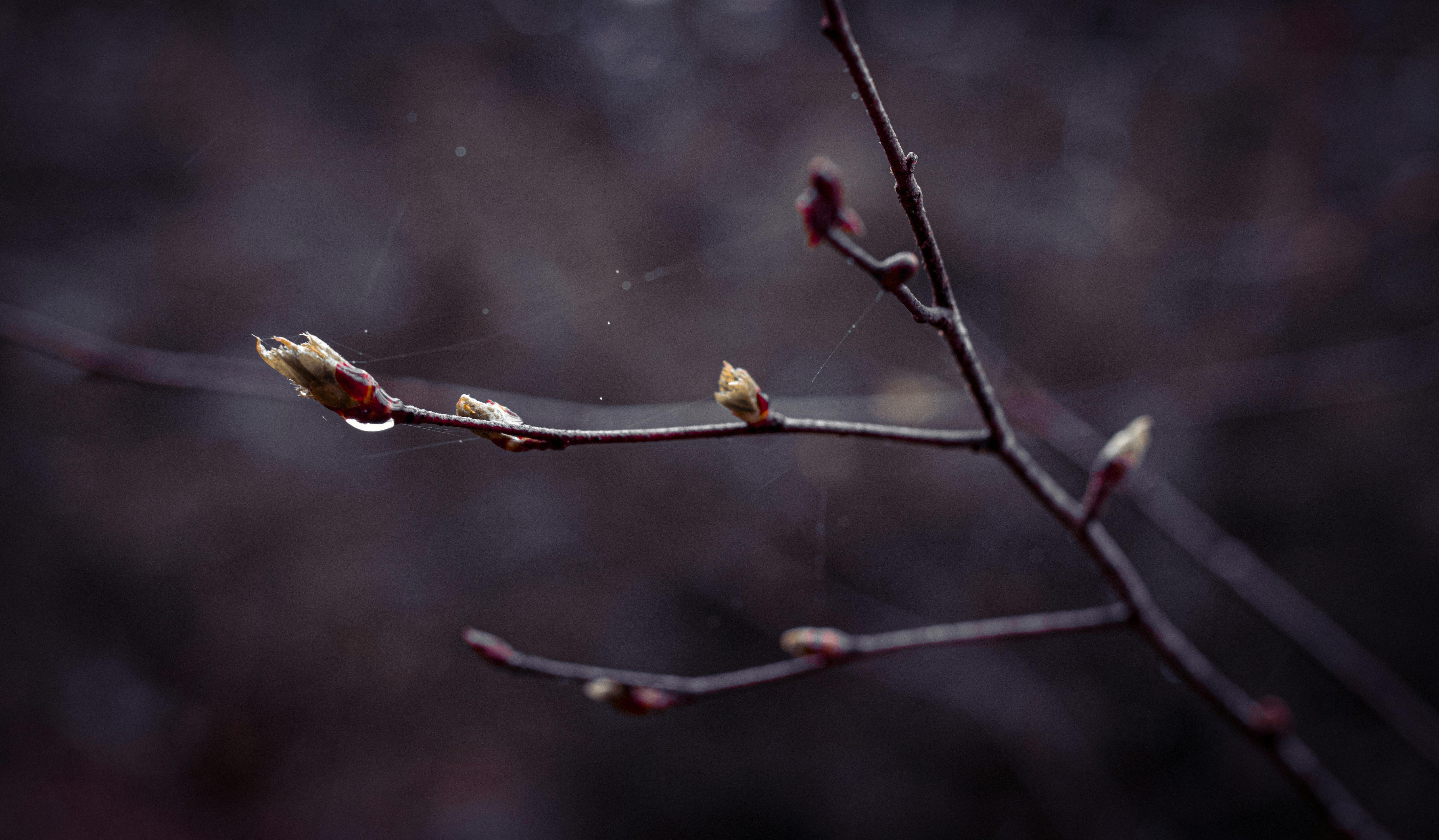 Drop Draht Photos, Download The BEST Free Drop Draht Stock Photos & HD ...