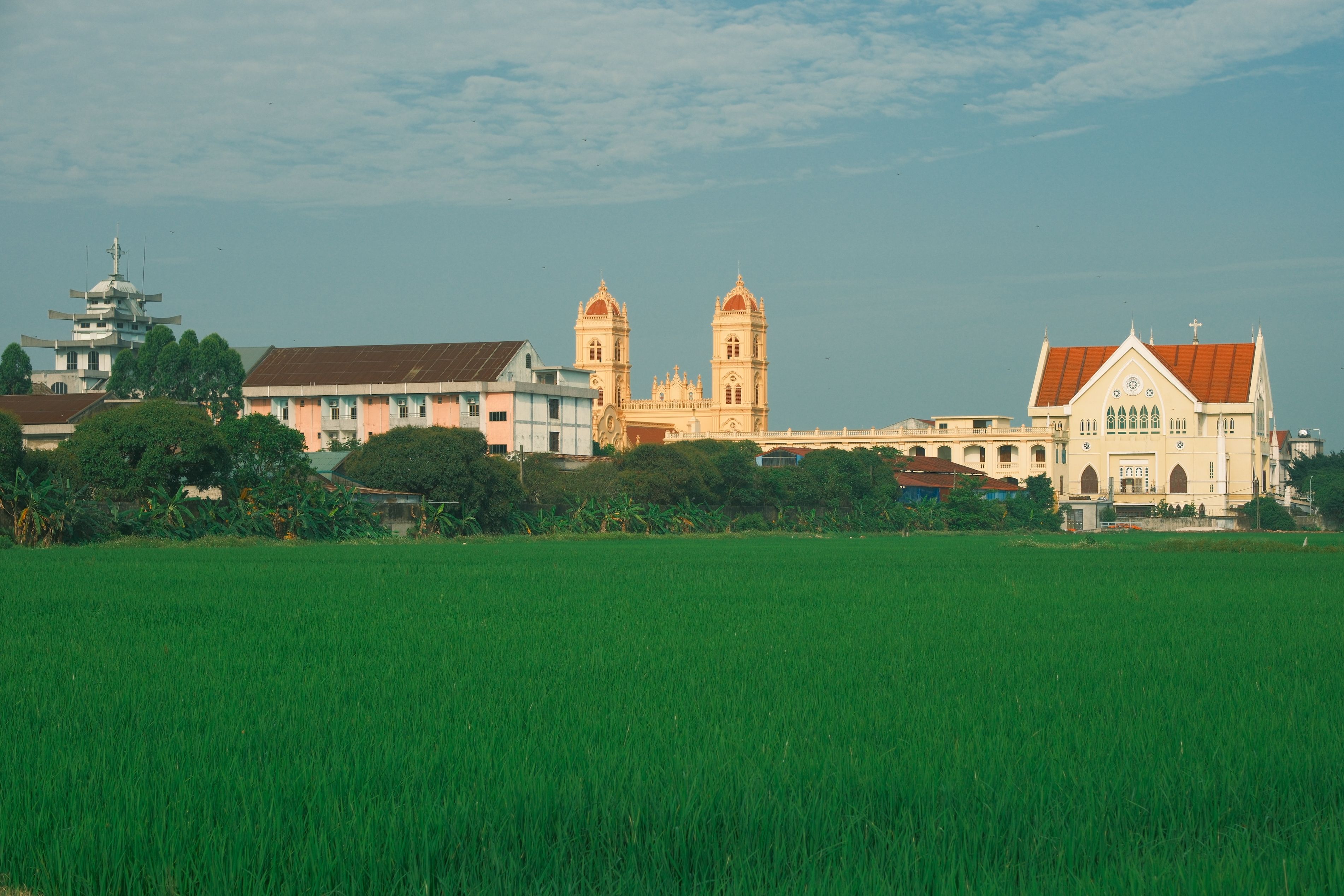 Scenic View of Nam Định Rice Fields and Architecture · Free Stock Photo