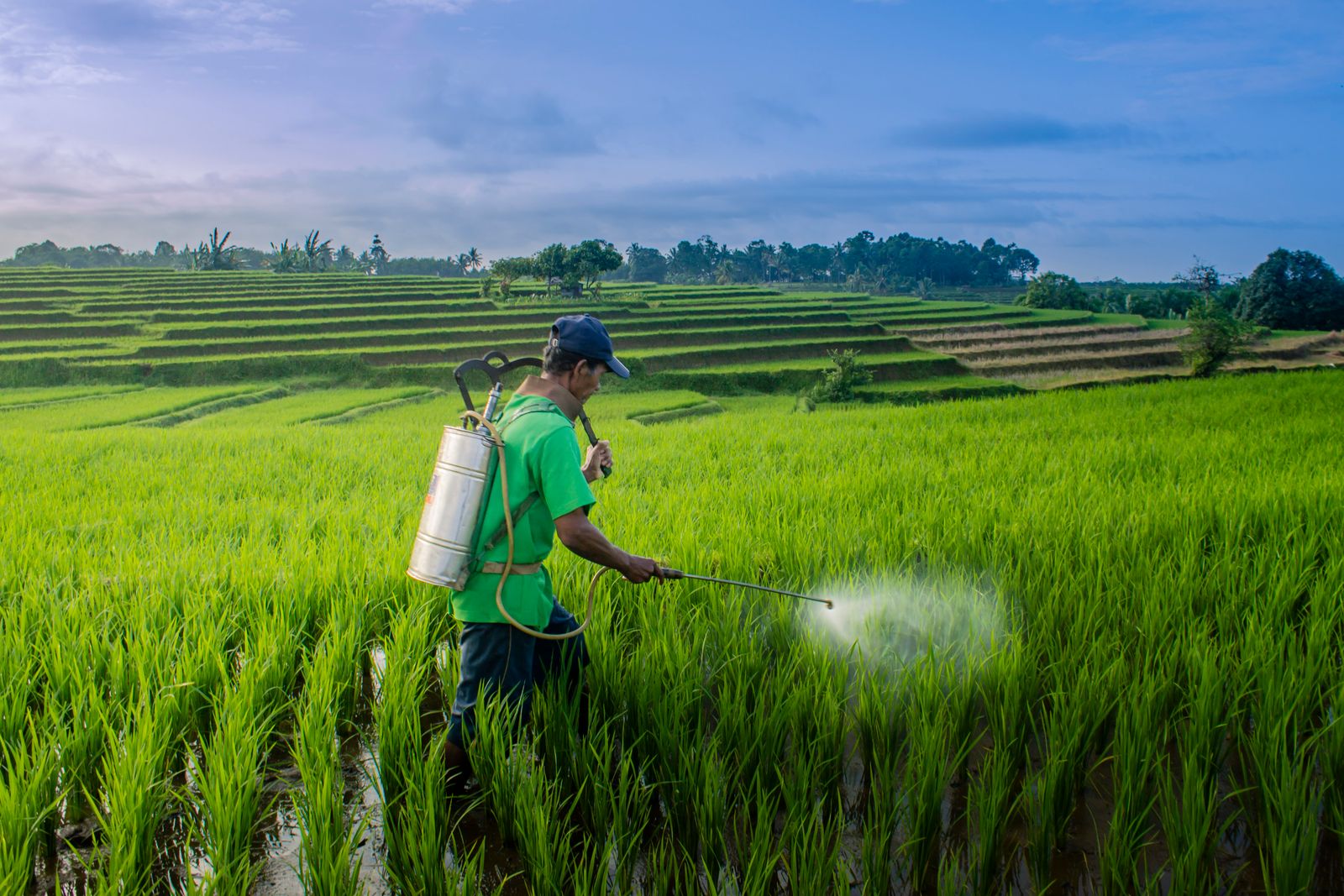 Pesticides Photos, Download The BEST Free Pesticides Stock Photos & HD ...