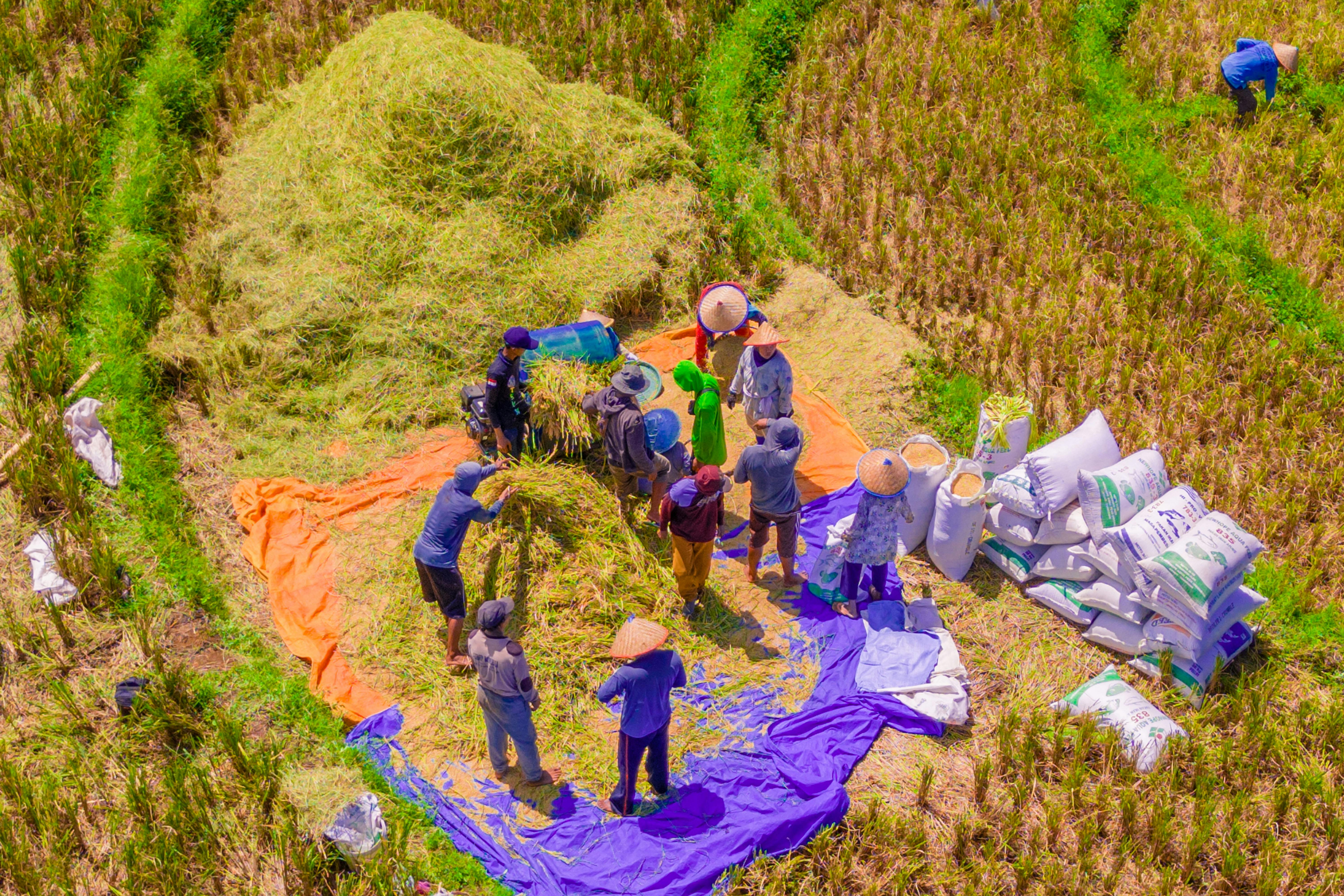 Workforce Photos, Download The BEST Free Workforce Stock Photos & HD Images