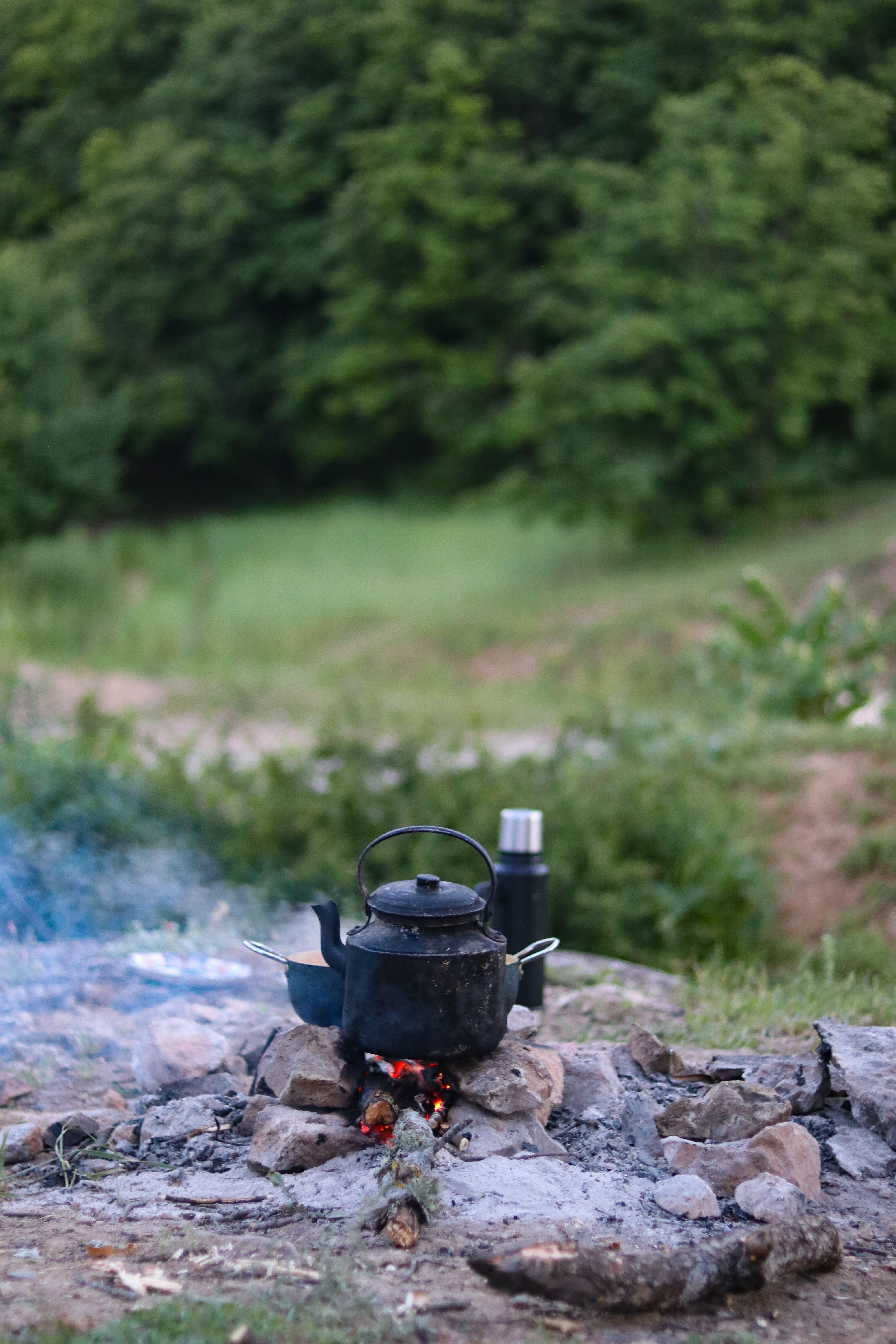 Survival Photos, Download The BEST Free Survival Stock Photos & HD Images