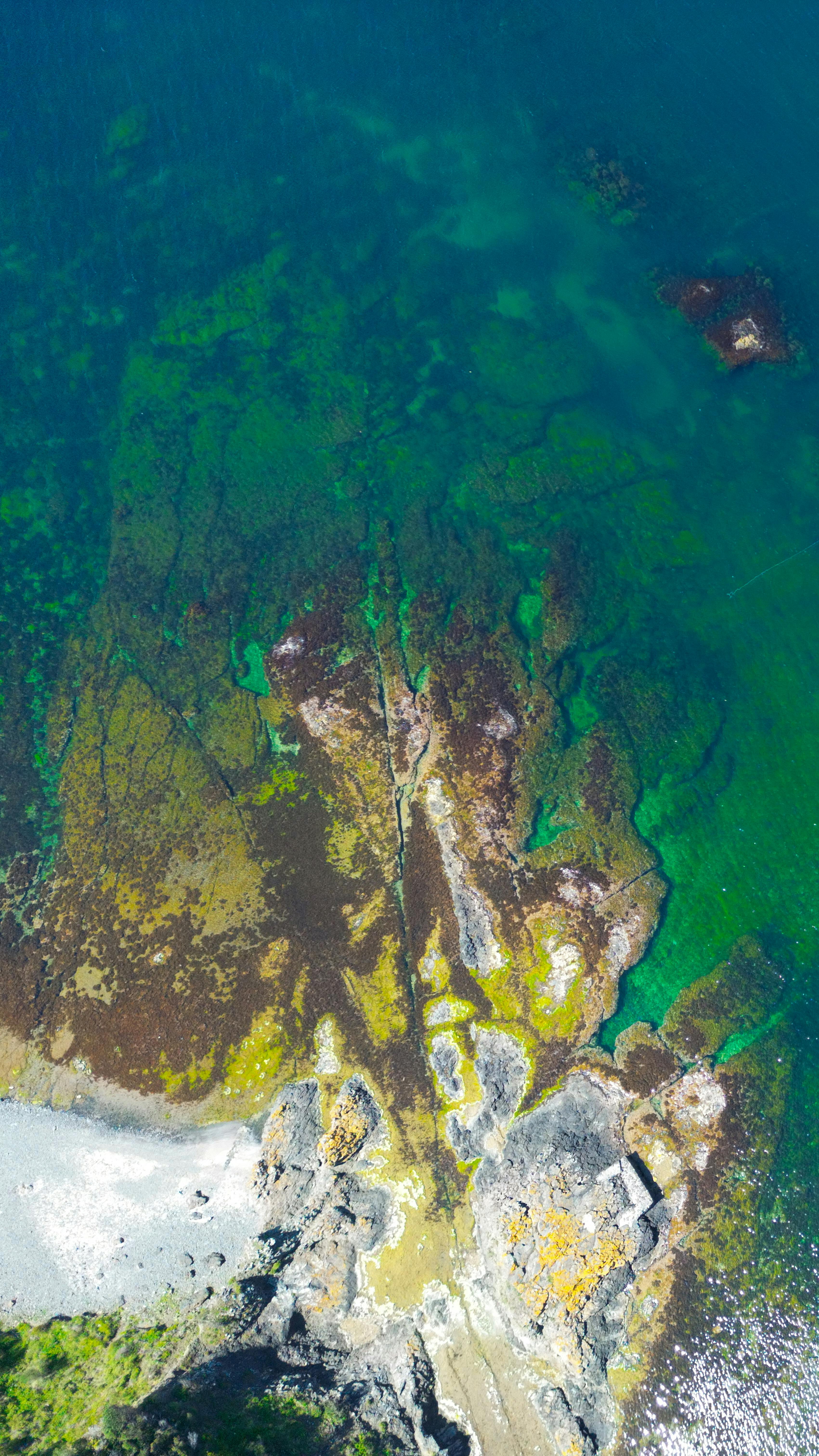 Capal Photo Photos, Download The BEST Free Capal Photo Stock Photos ...