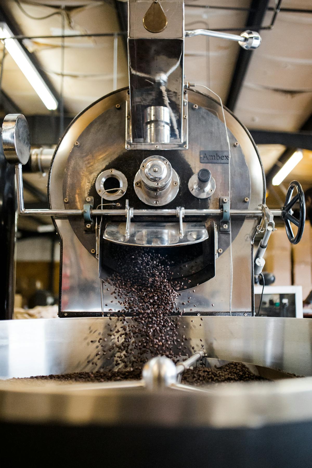 Art+Of+Zoo+Boar+Corps+Project+Free Photos, Download The BEST Free Art ...