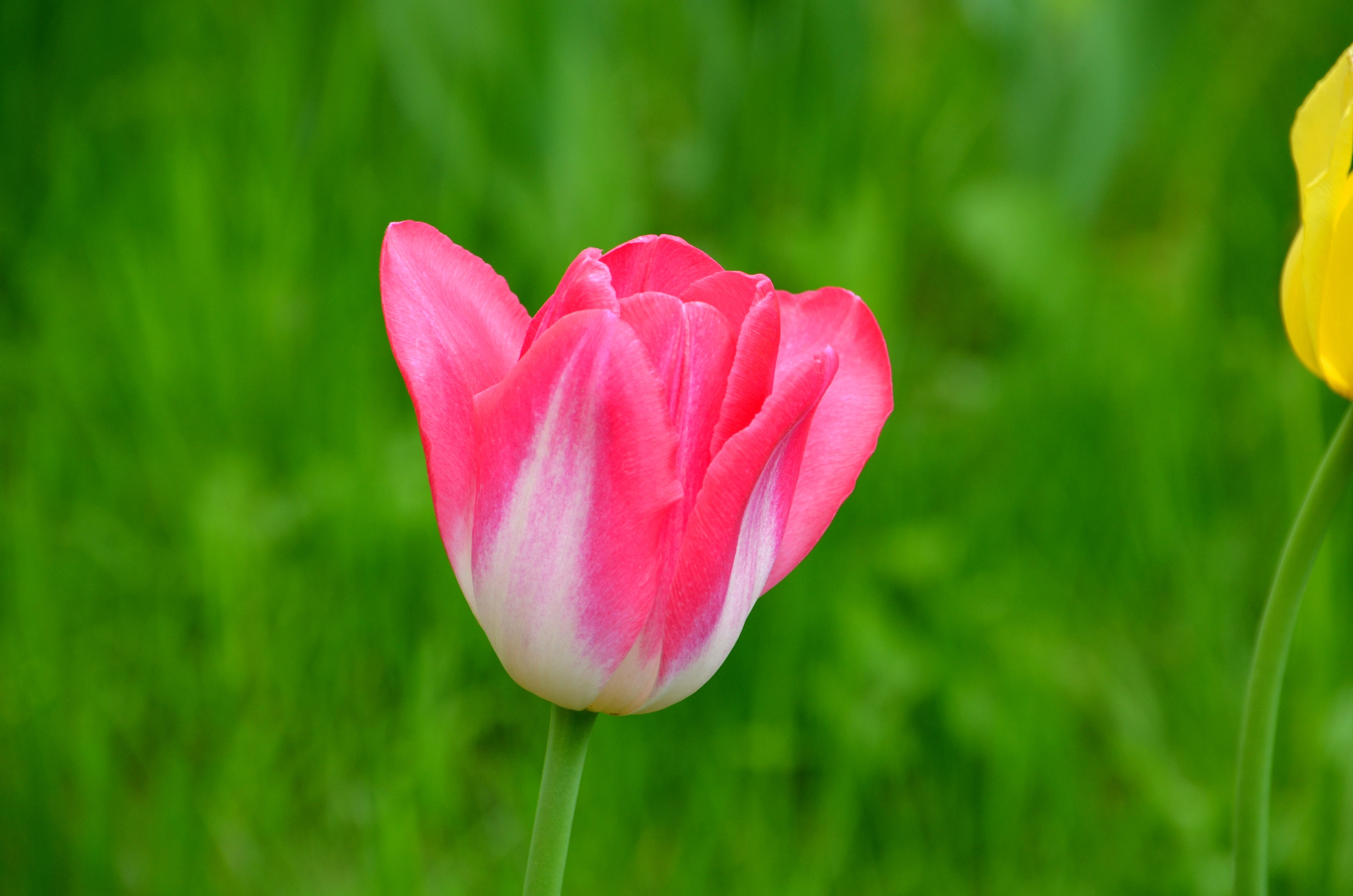 High Resolution Colorful Photos, Download The BEST Free High Resolution ...