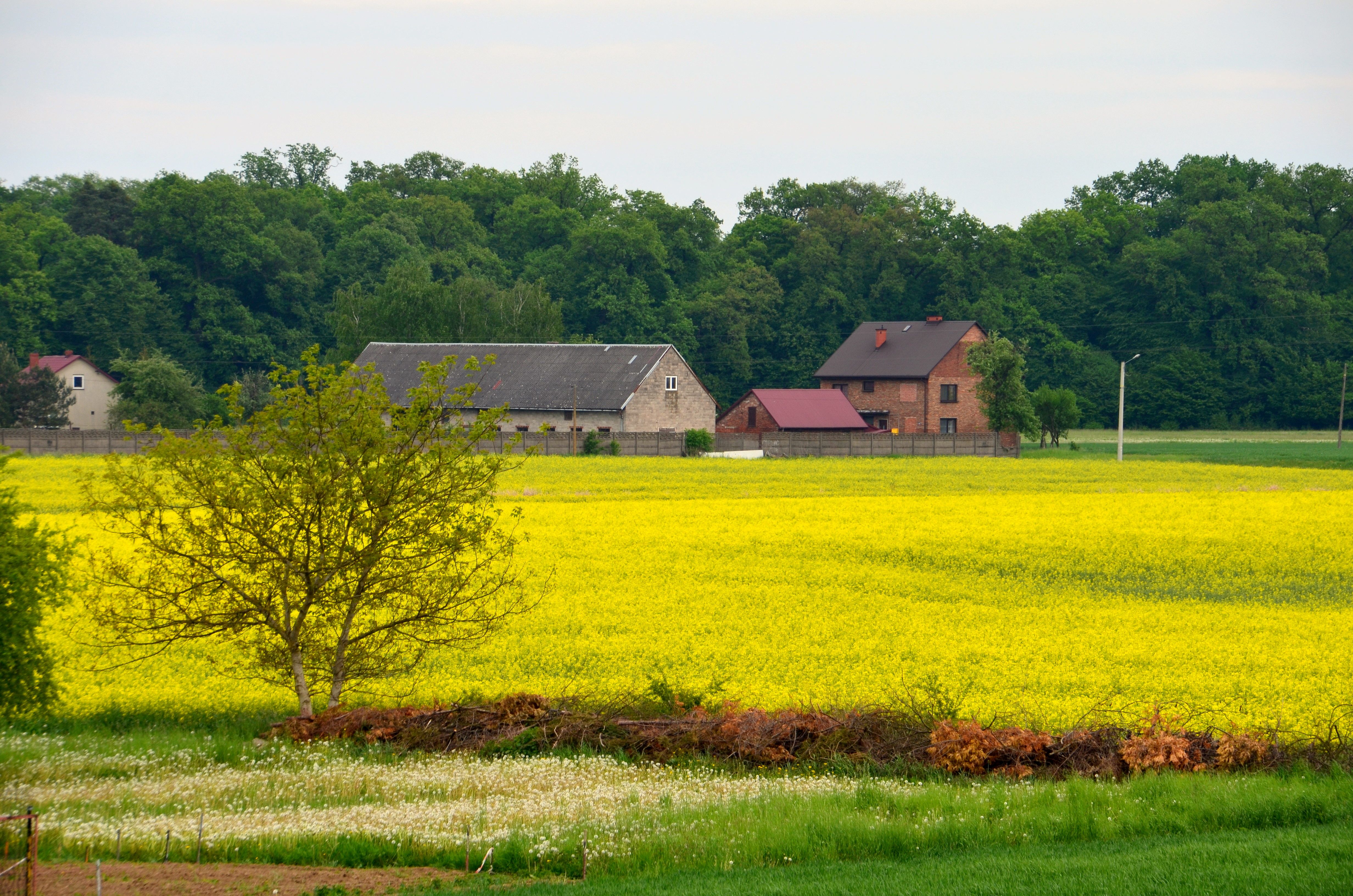 Picturesque Countryside Farm in Spring · Free Stock Photo