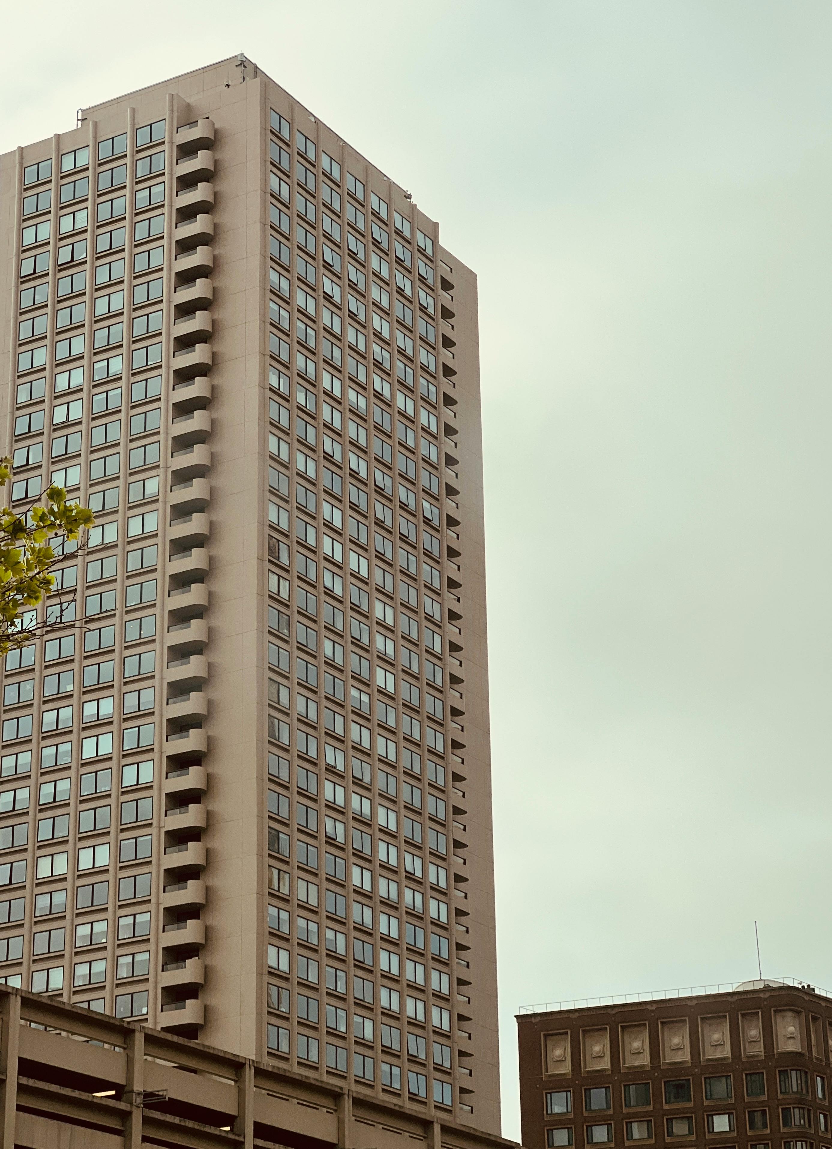 Real+Gyatt+Pics Photos, Download The BEST Free Real+Gyatt+Pics Stock ...