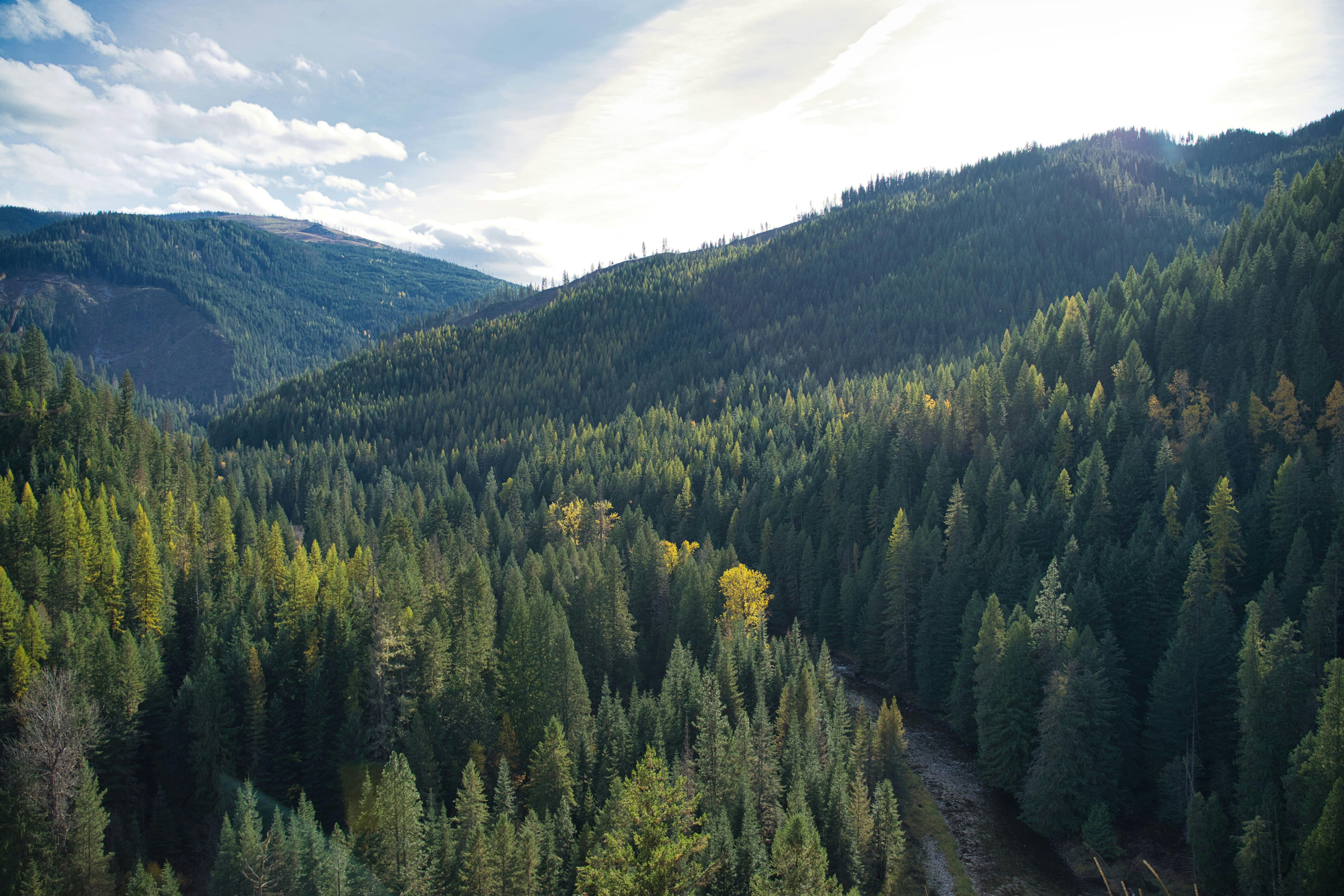 Kevin Bidwell - Photography