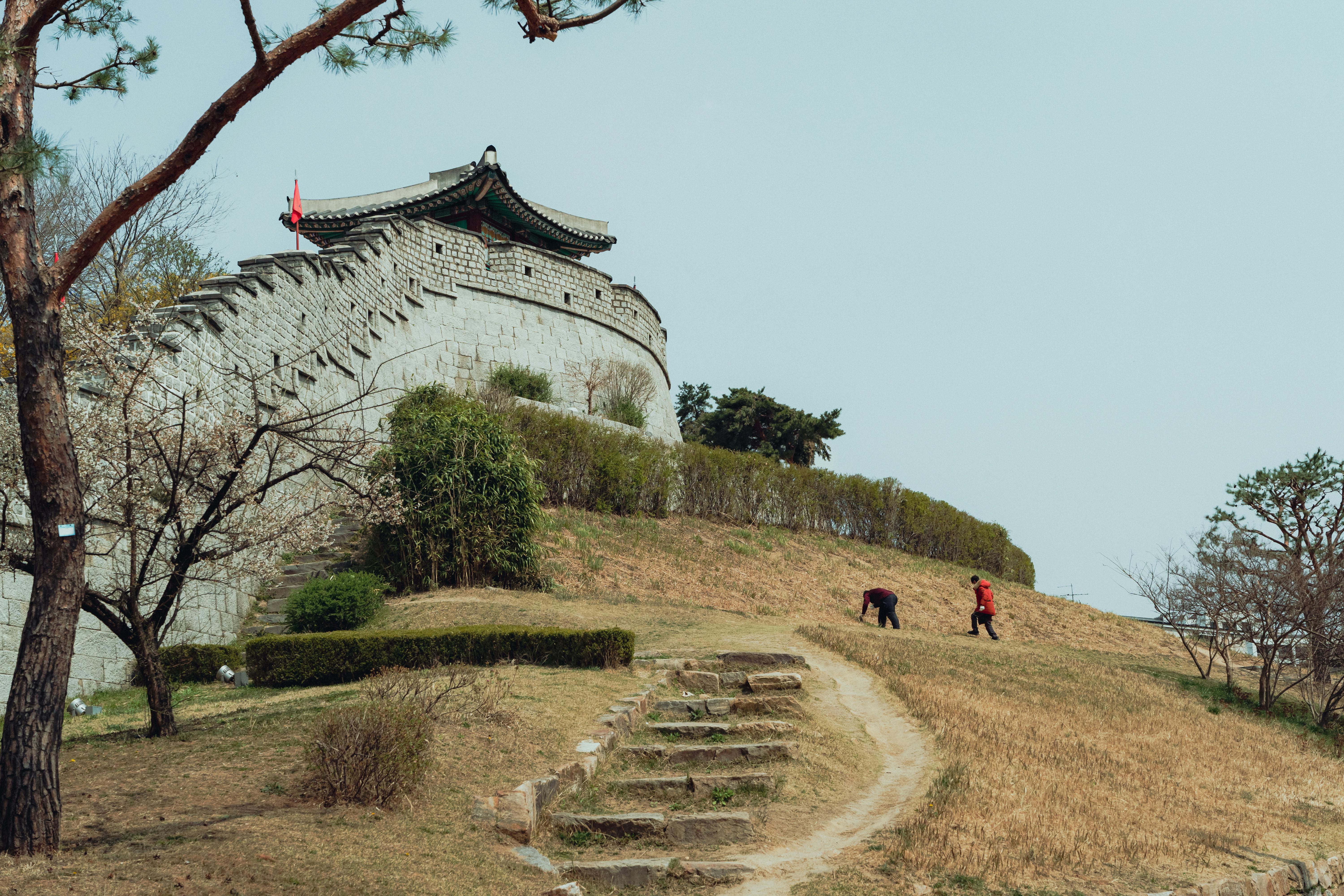 Beautiful Scenery For Marrage Photos, Download The BEST Free Beautiful ...