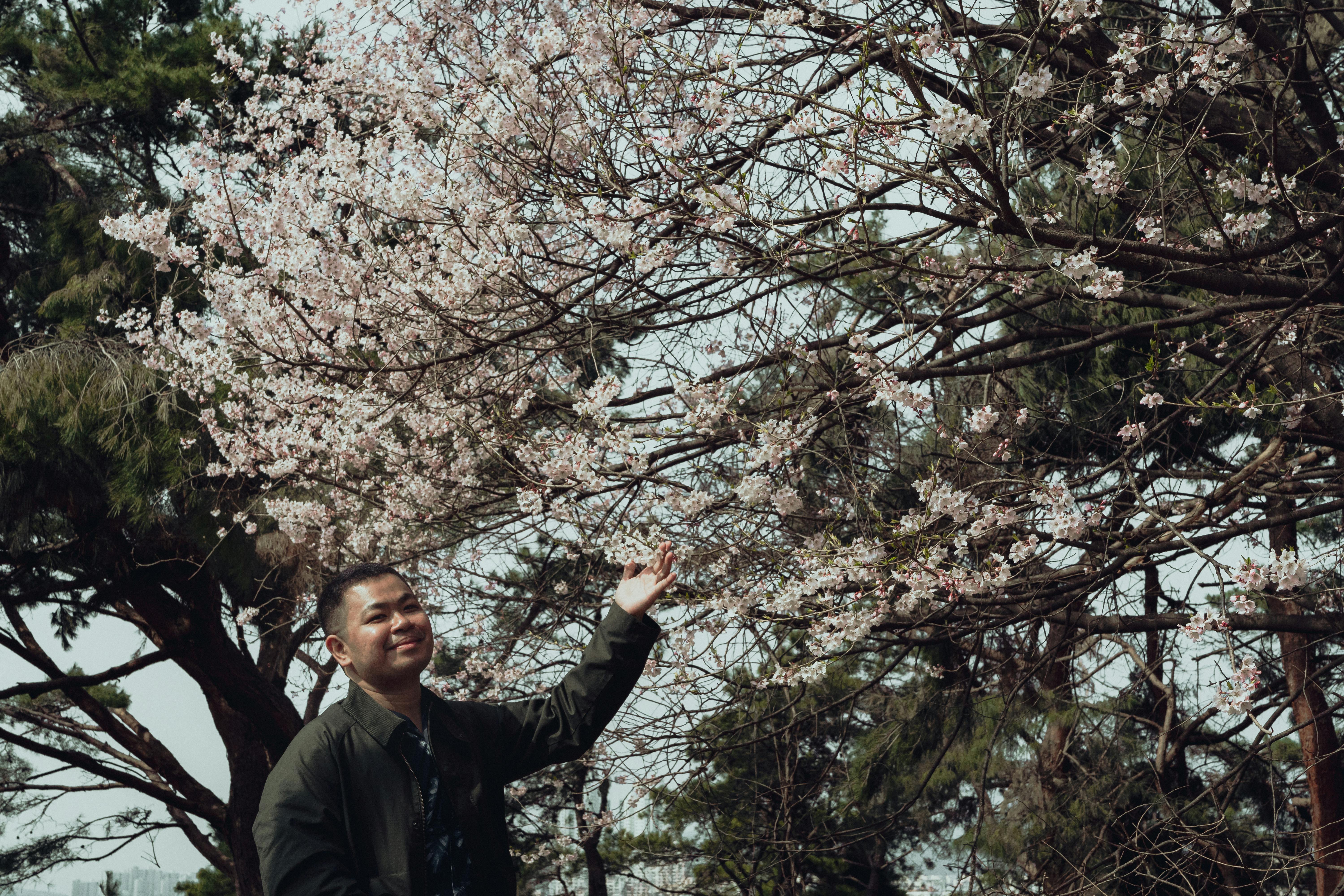 Korean Scenery Photos, Download The BEST Free Korean Scenery Stock ...