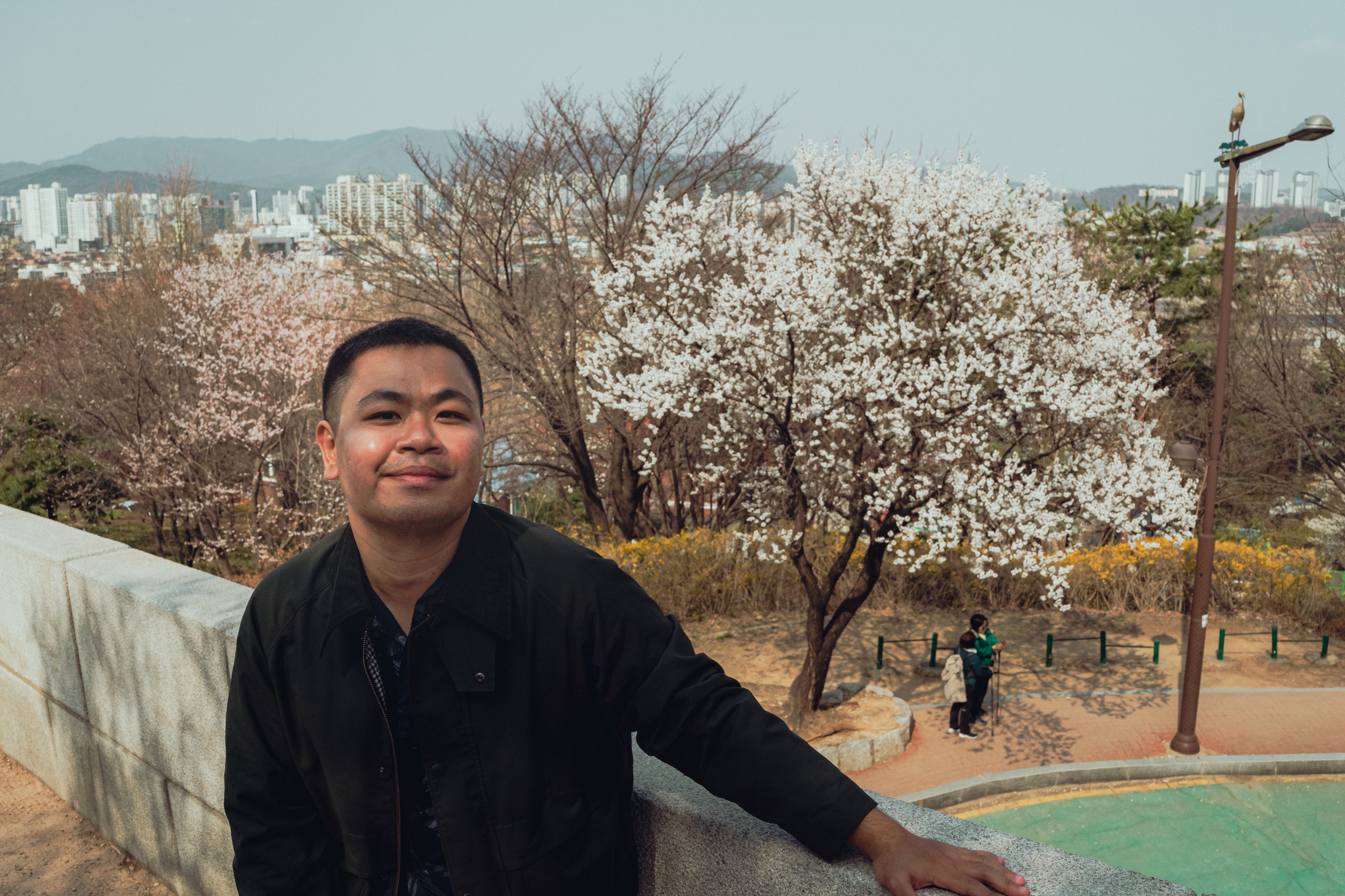 Paisaje De Cerezos En Flor En Seúl, Corea Del Sur · Foto de stock gratuita