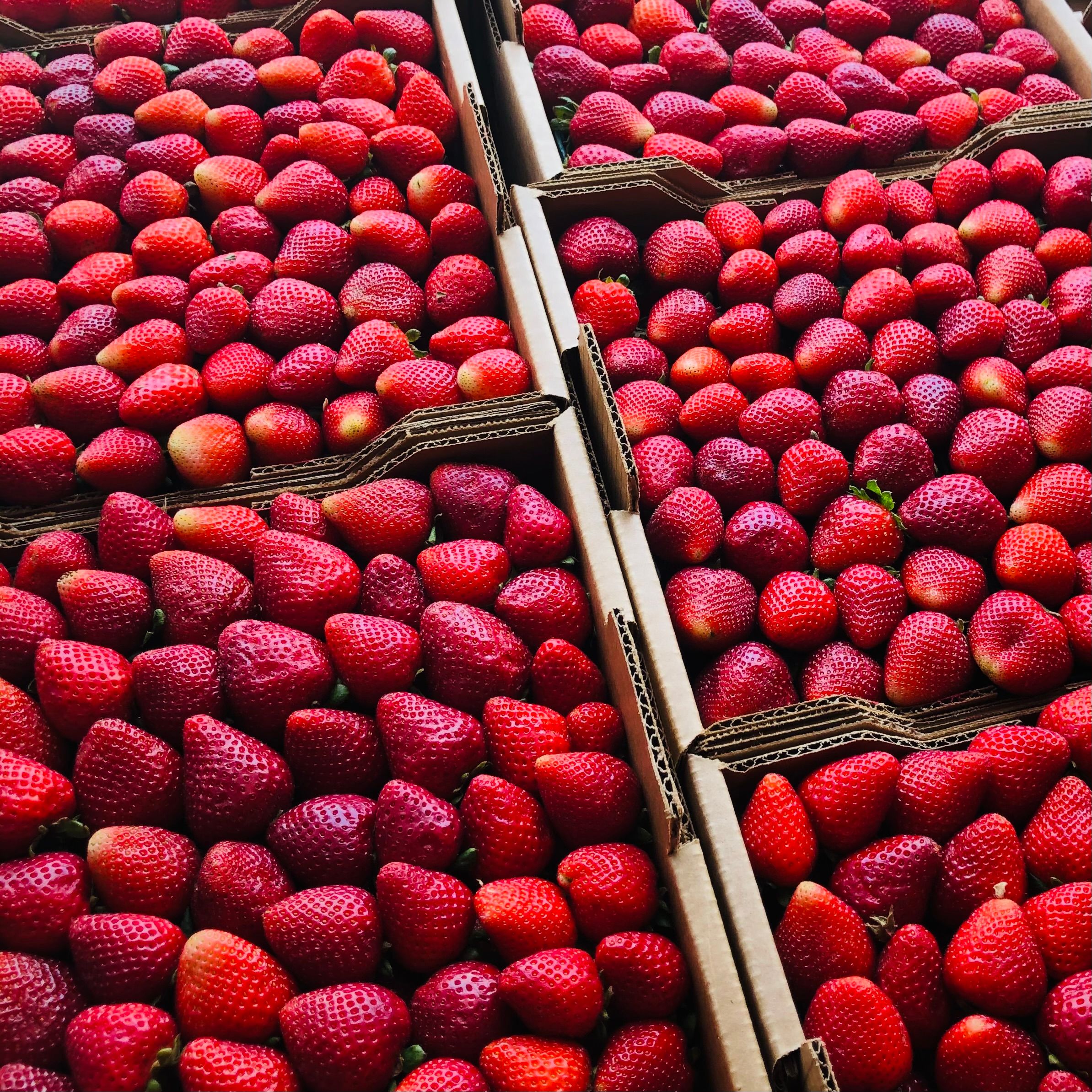 Strawberries in Buckets · Free Stock Photo