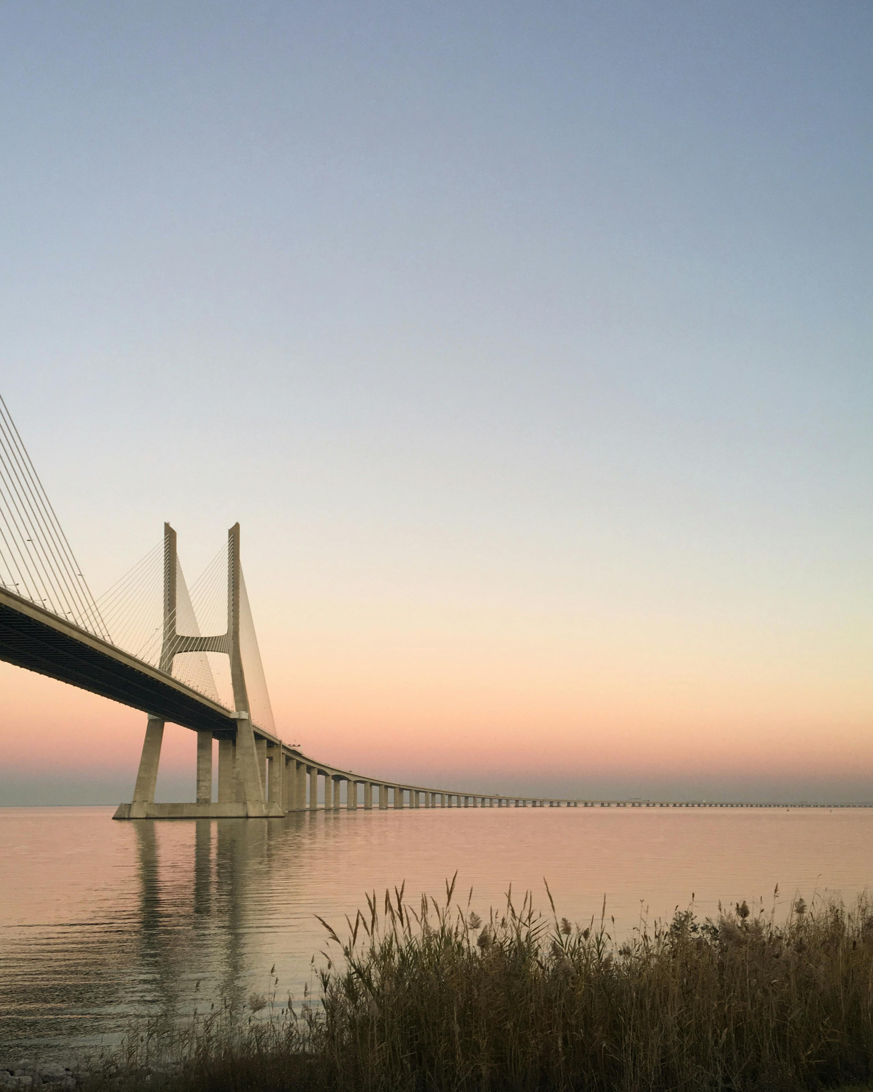 Cable Flyes Photos, Download The BEST Free Cable Flyes Stock Photos ...