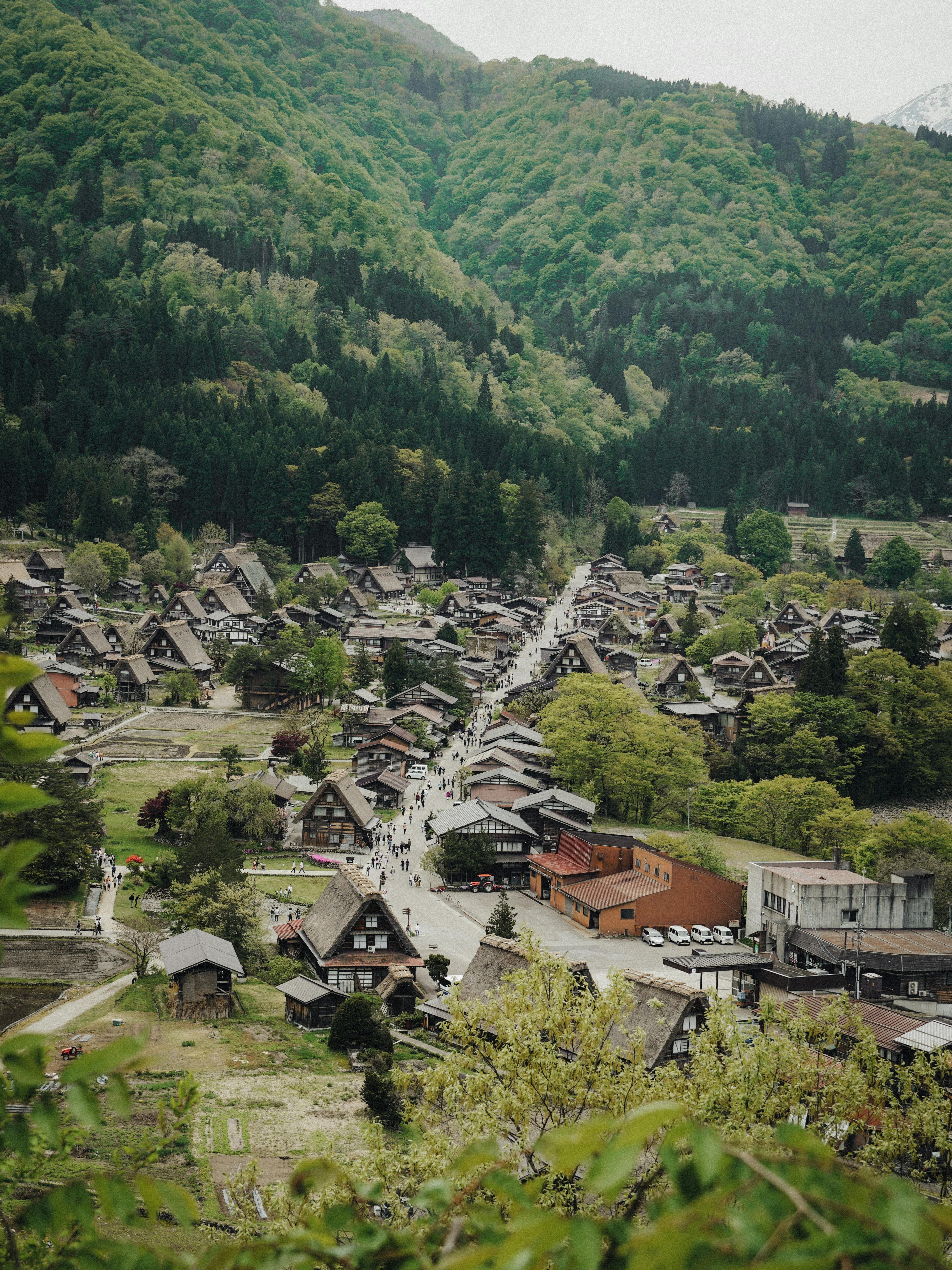 Pfps+That+Go+Hard Photos, Download The BEST Free Pfps+That+Go+Hard ...