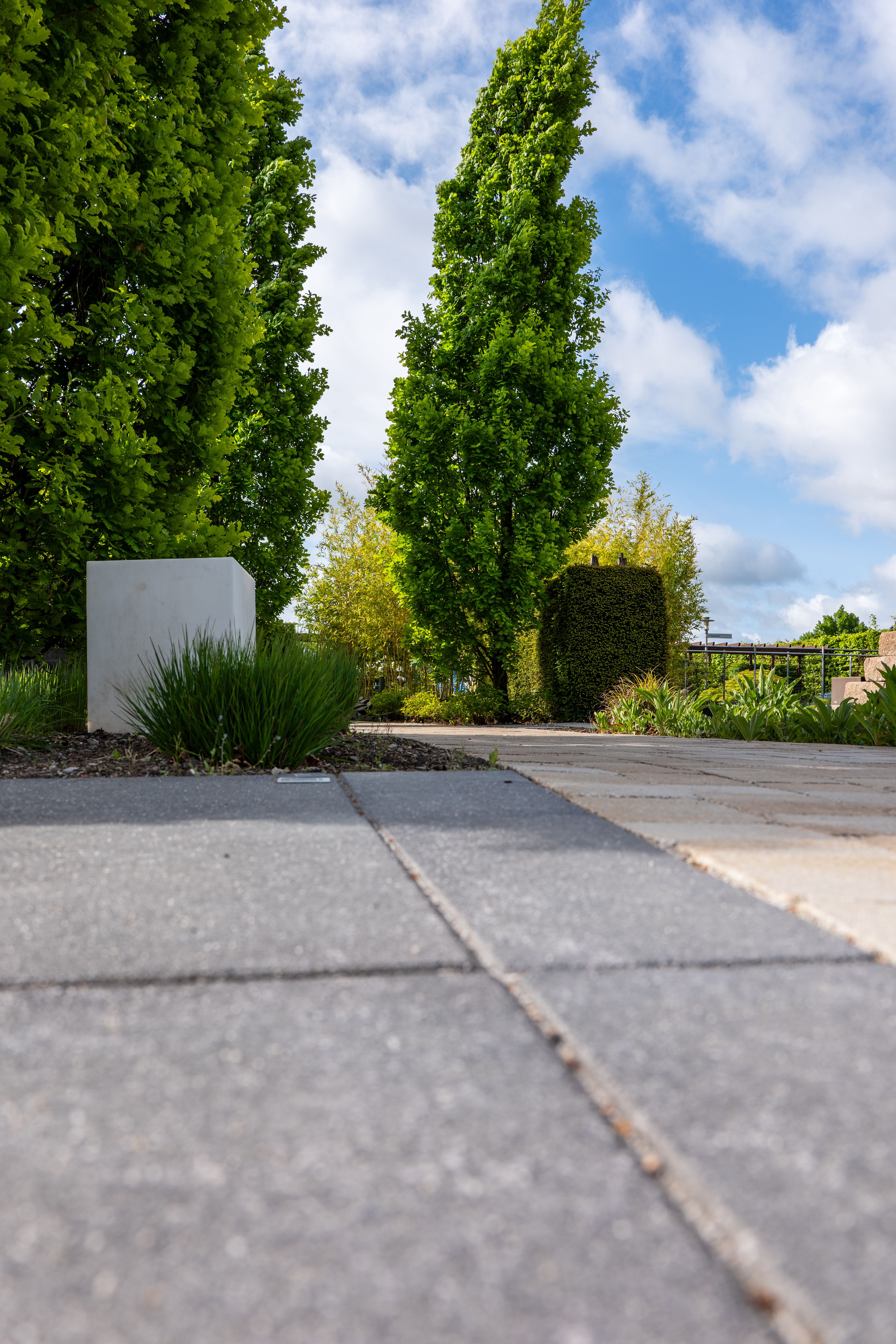Modern Garden Pathway with Lush Greenery · Free Stock Photo