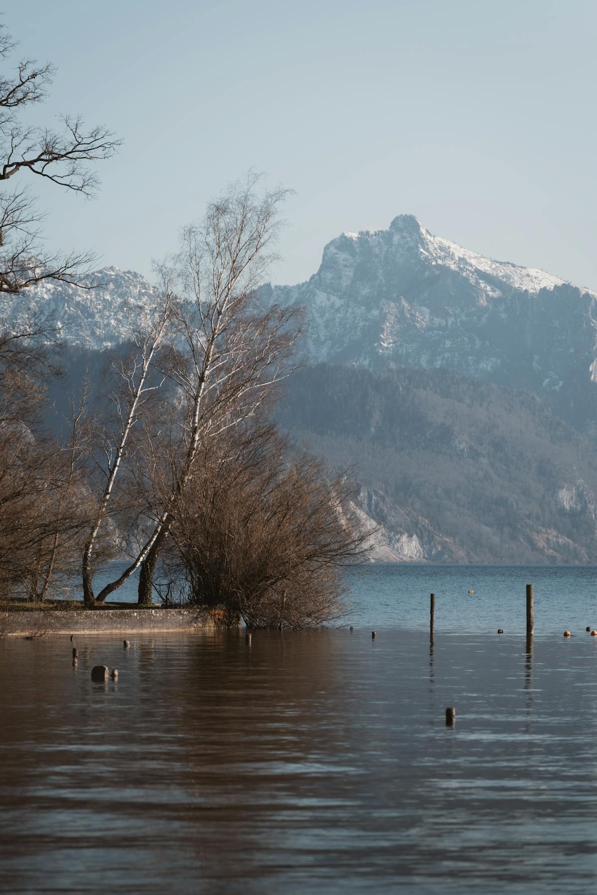 Gaza 4k Wallpaper Photos, Download The BEST Free Gaza 4k Wallpaper ...