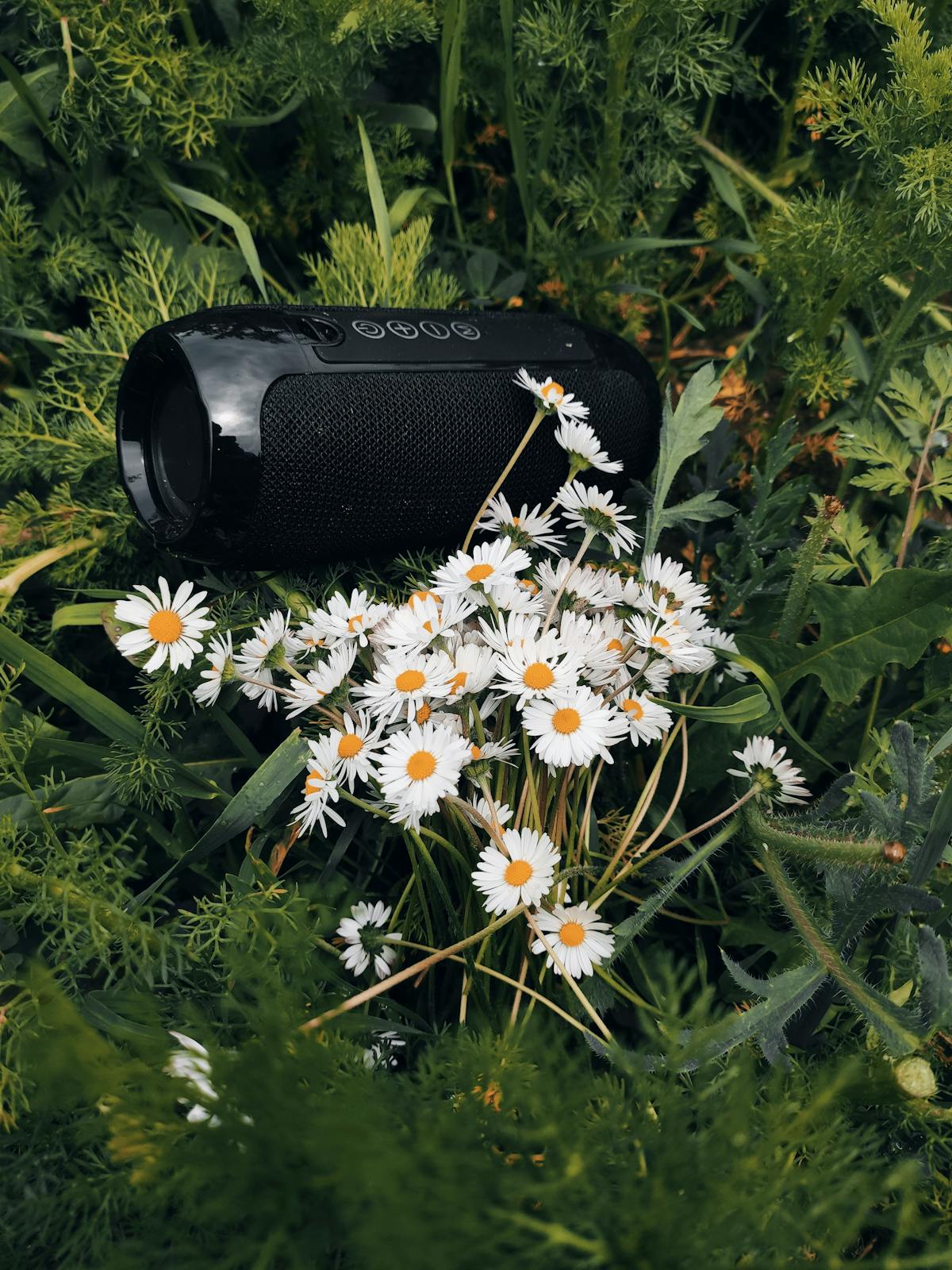 Bing+Homepage+Quiz+Jigsaw+Puzzles+2015+Images+Free Photos, Download The ...