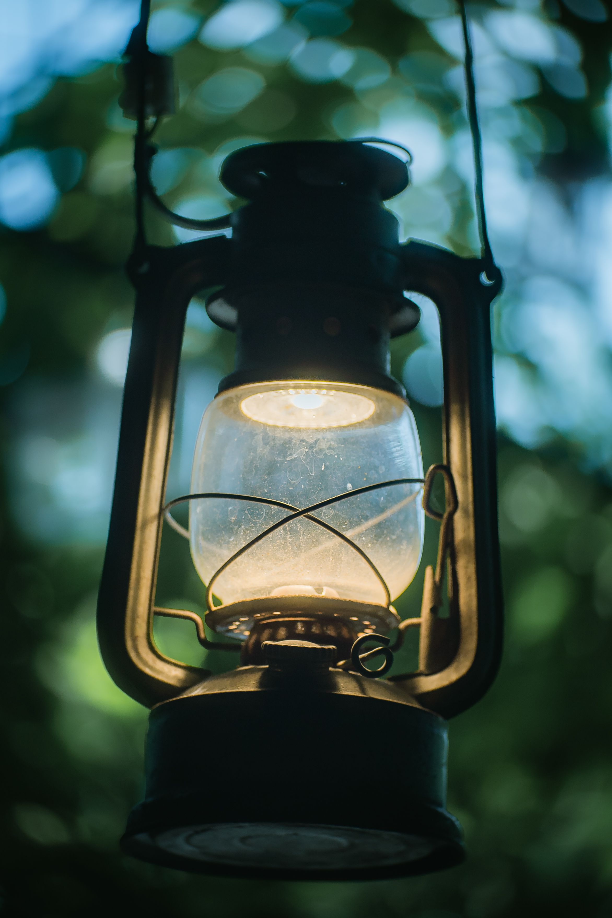 Free Close-up of a vintage lantern glowing amidst green foliage ...