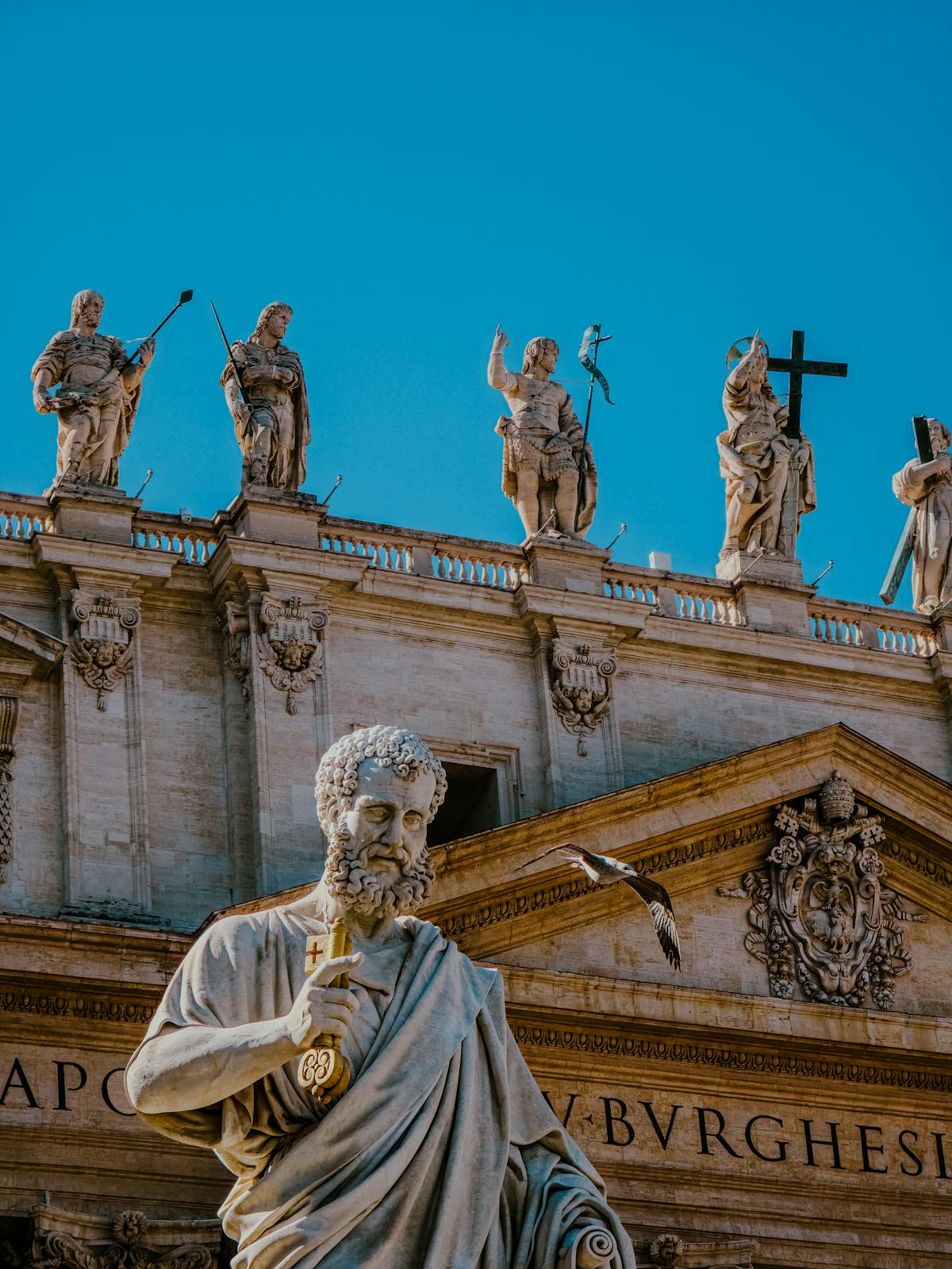 Vatican Photos, Download The BEST Free Vatican Stock Photos & HD Images