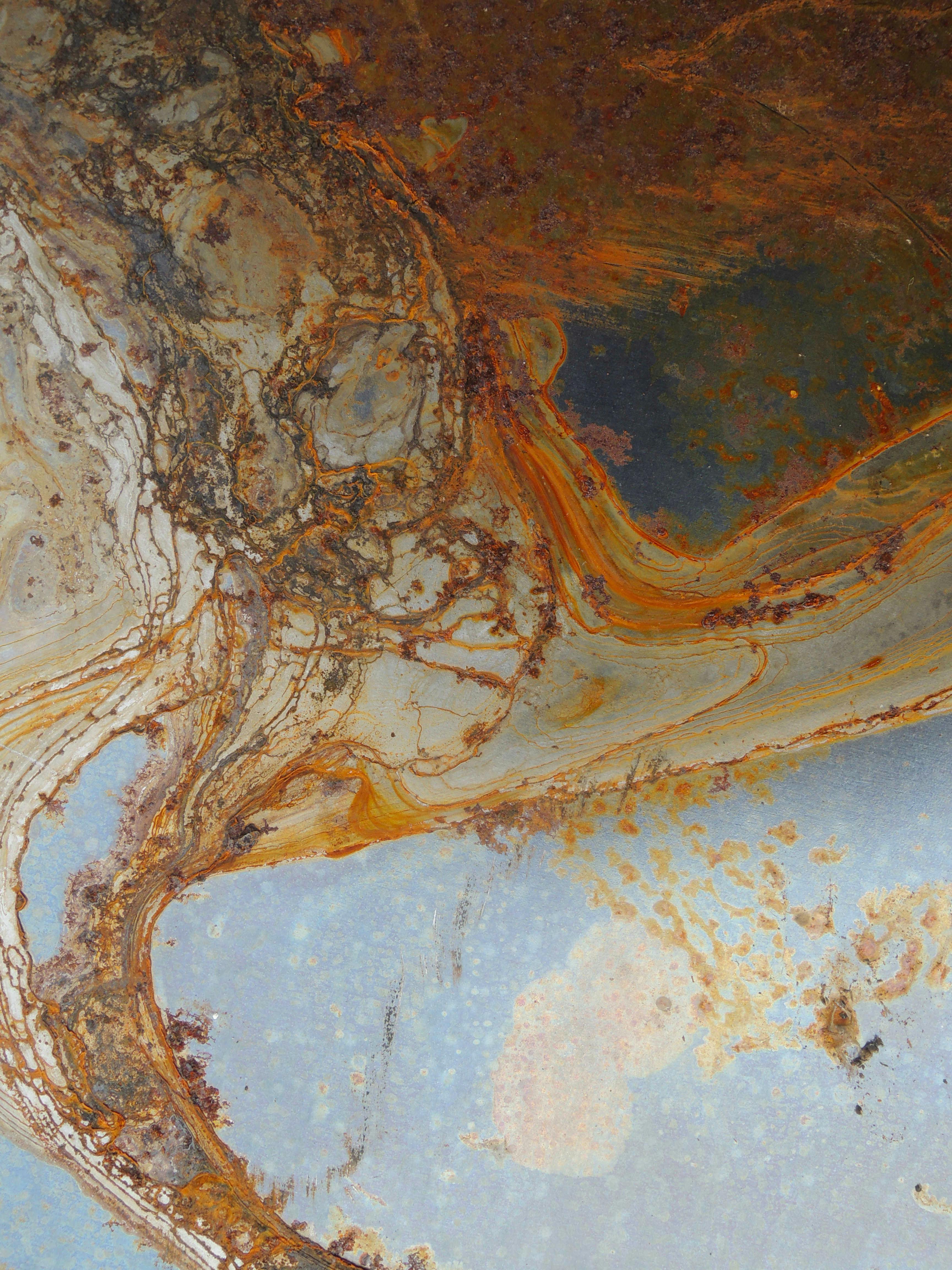 Topo Background Photos, Download The BEST Free Topo Background Stock ...