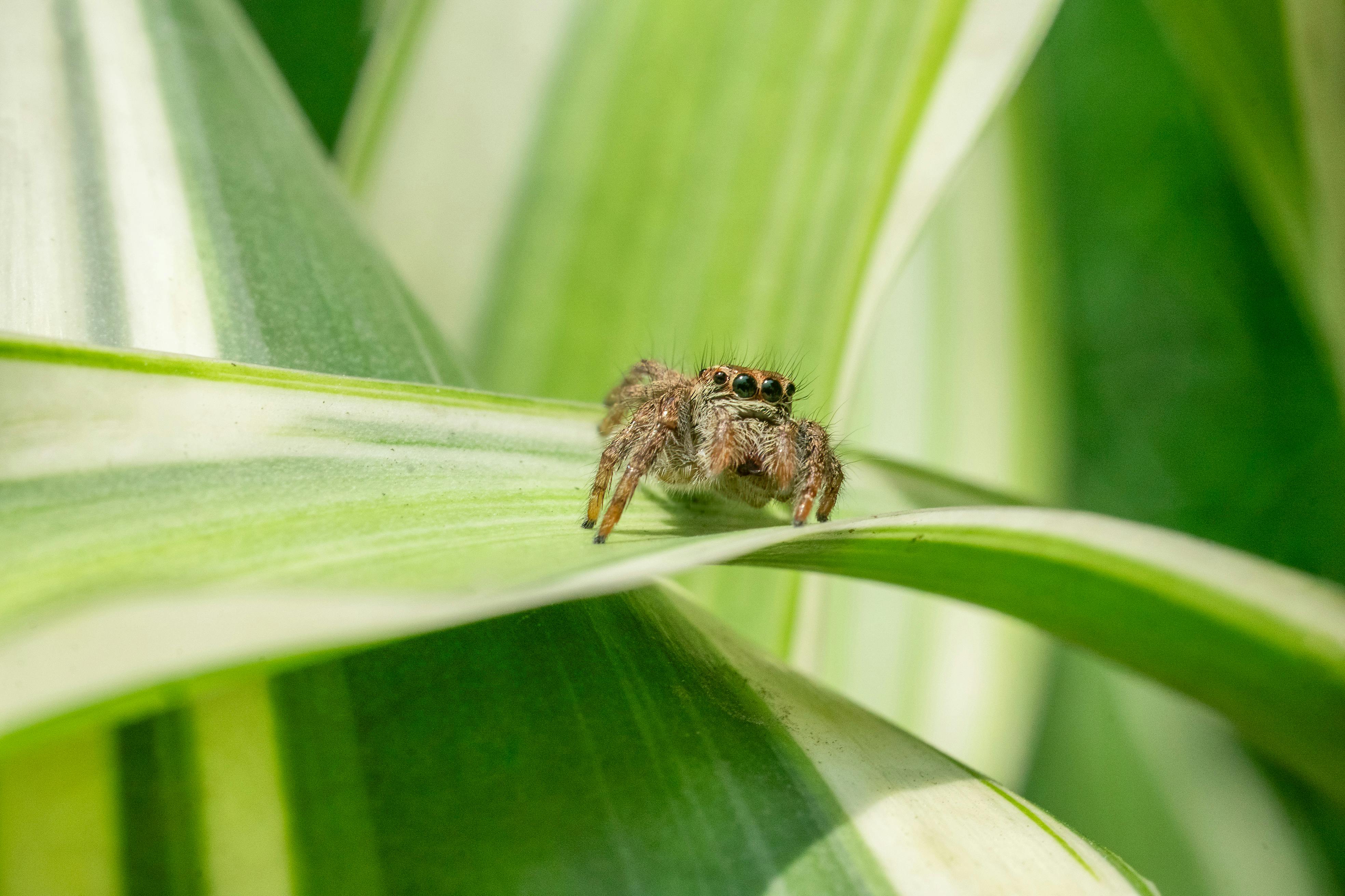 Biological Photos, Download The BEST Free Biological Stock Photos & HD ...
