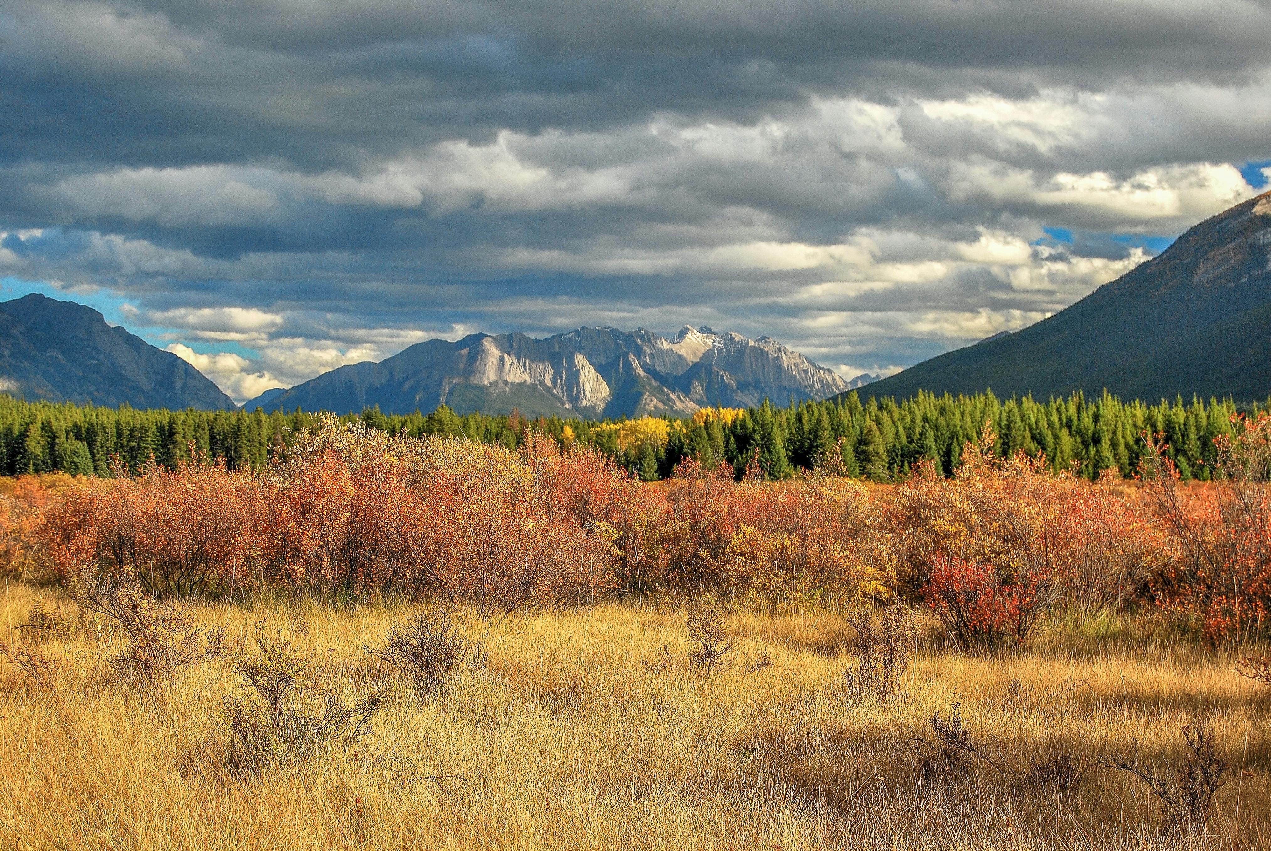 Autumn Fall Landscape Photos, Download The BEST Free Autumn Fall ...