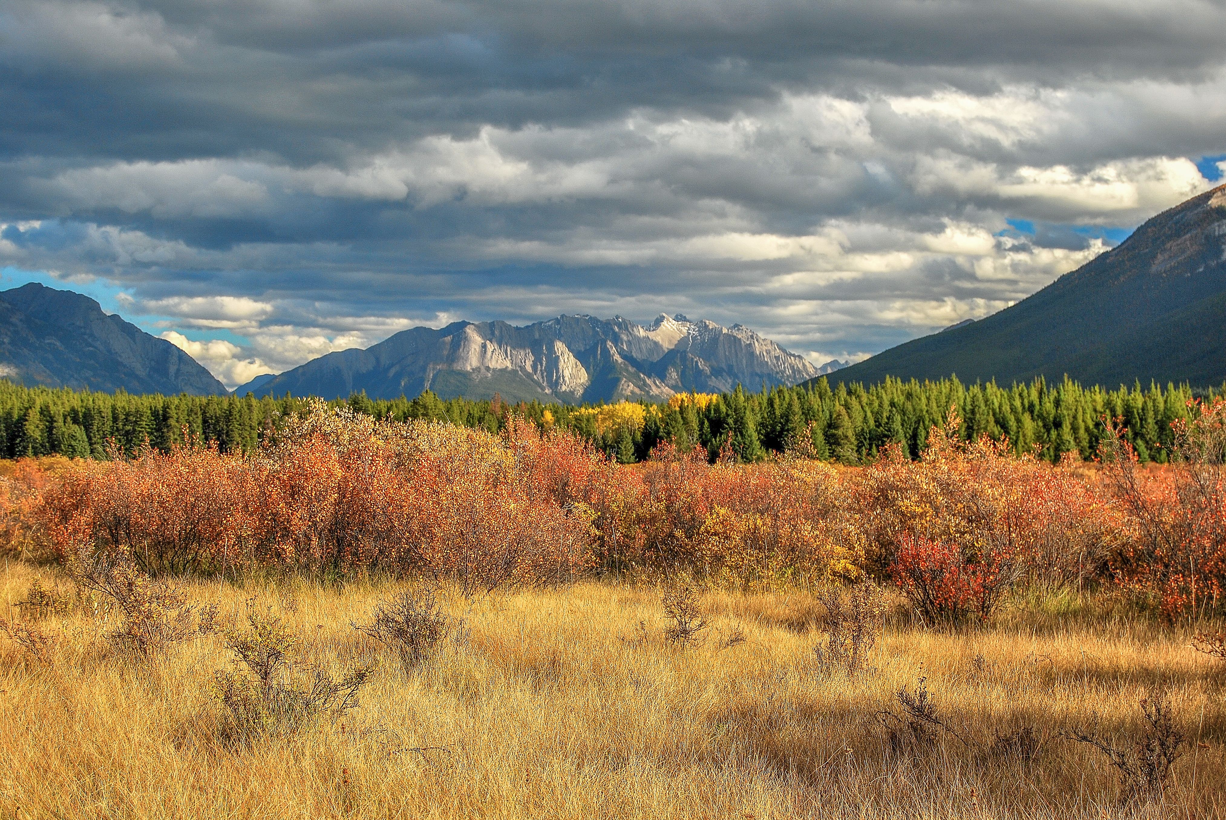 Stunning Autumn View of Banff National Park · Free Stock Photo