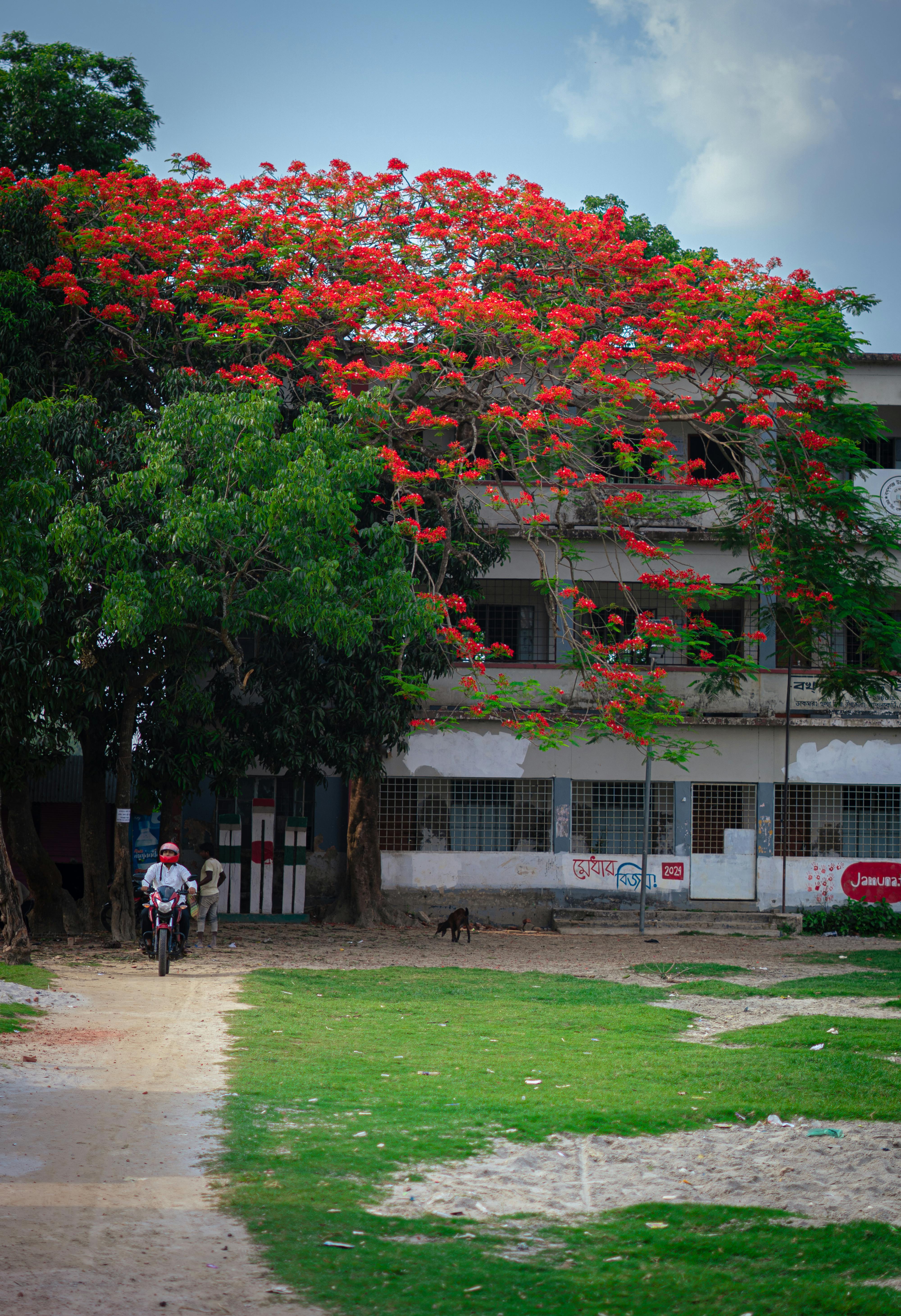 Praew+Asia+Onlyfans+Video Photos, Download The BEST Free Praew+Asia ...