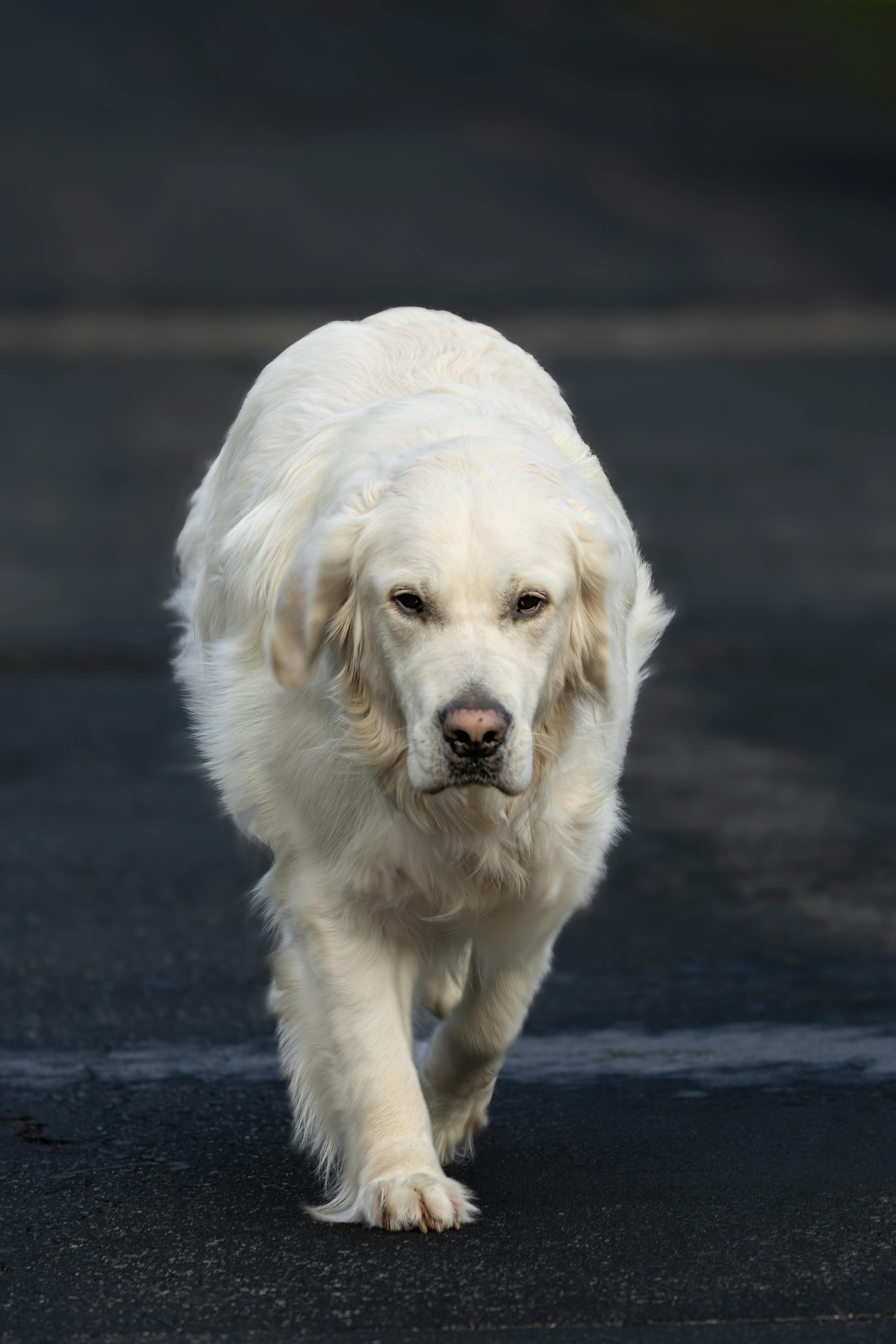 Hd Big Ass Photos, Download The BEST Free Hd Big Ass Stock Photos & HD ...