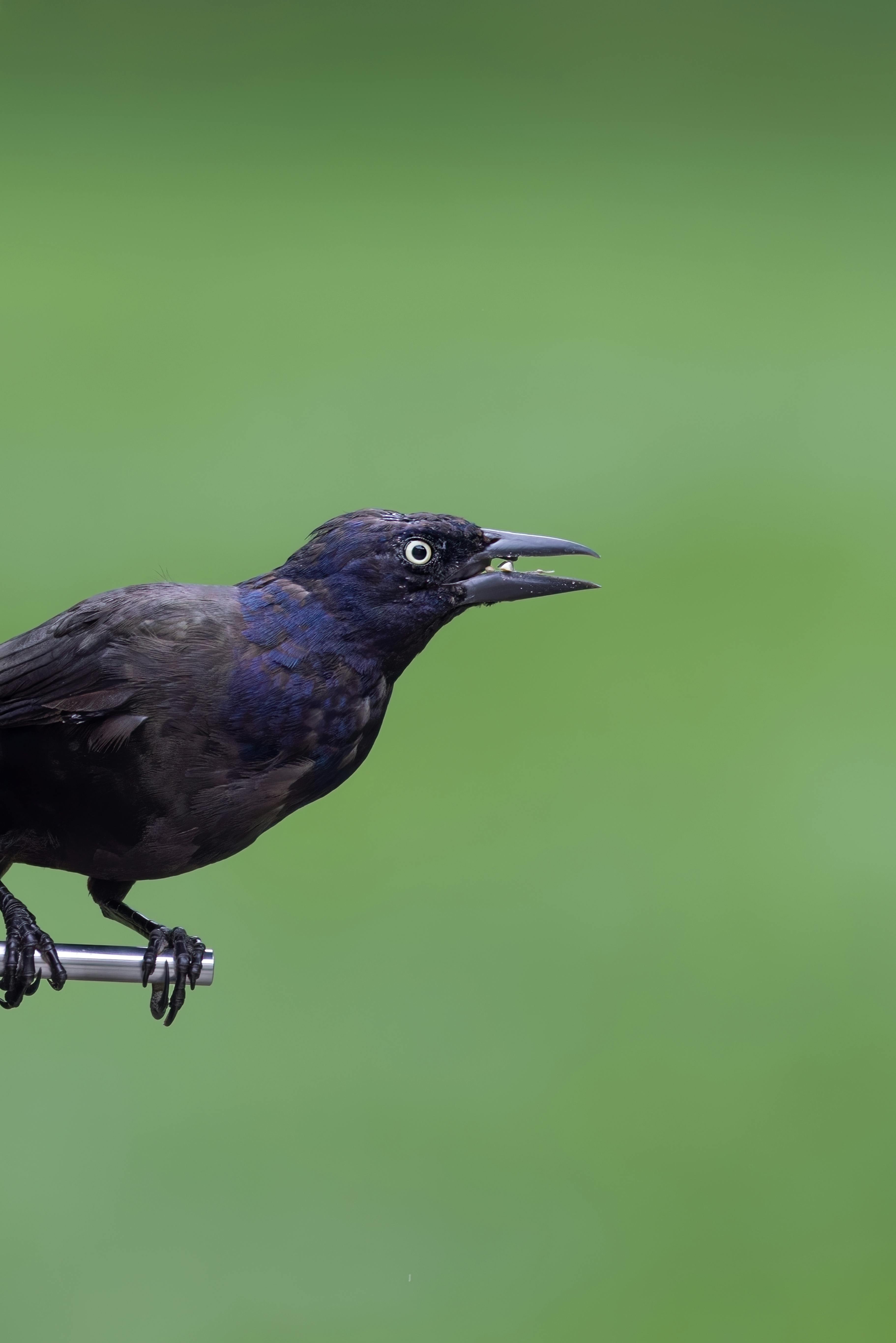 Hd Wallpaper 13 Inch Laptop Photos, Download The BEST Free Hd Wallpaper ...