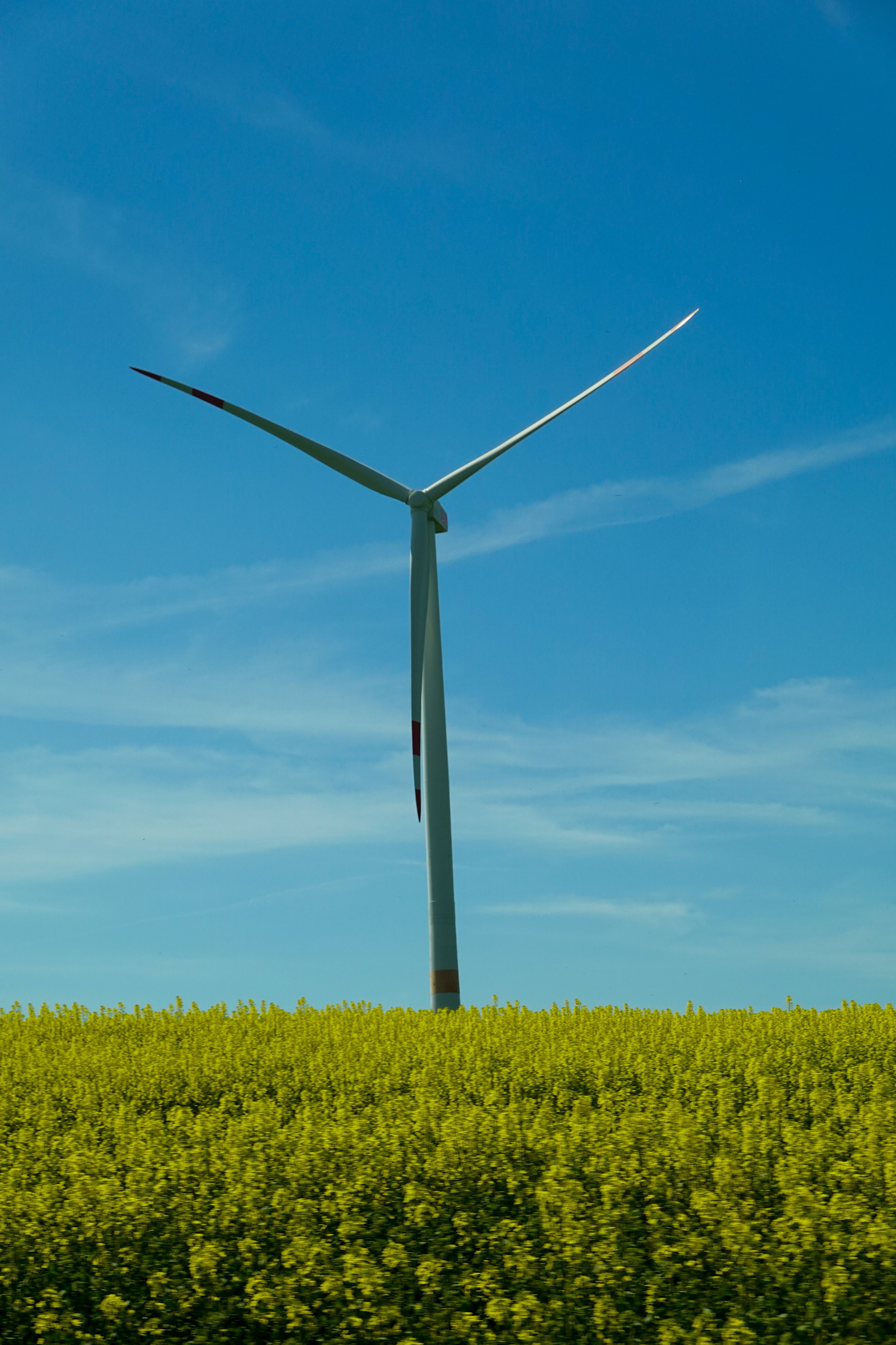Wind Turbine in Blooming Field Against Blue Sky · Free Stock Photo