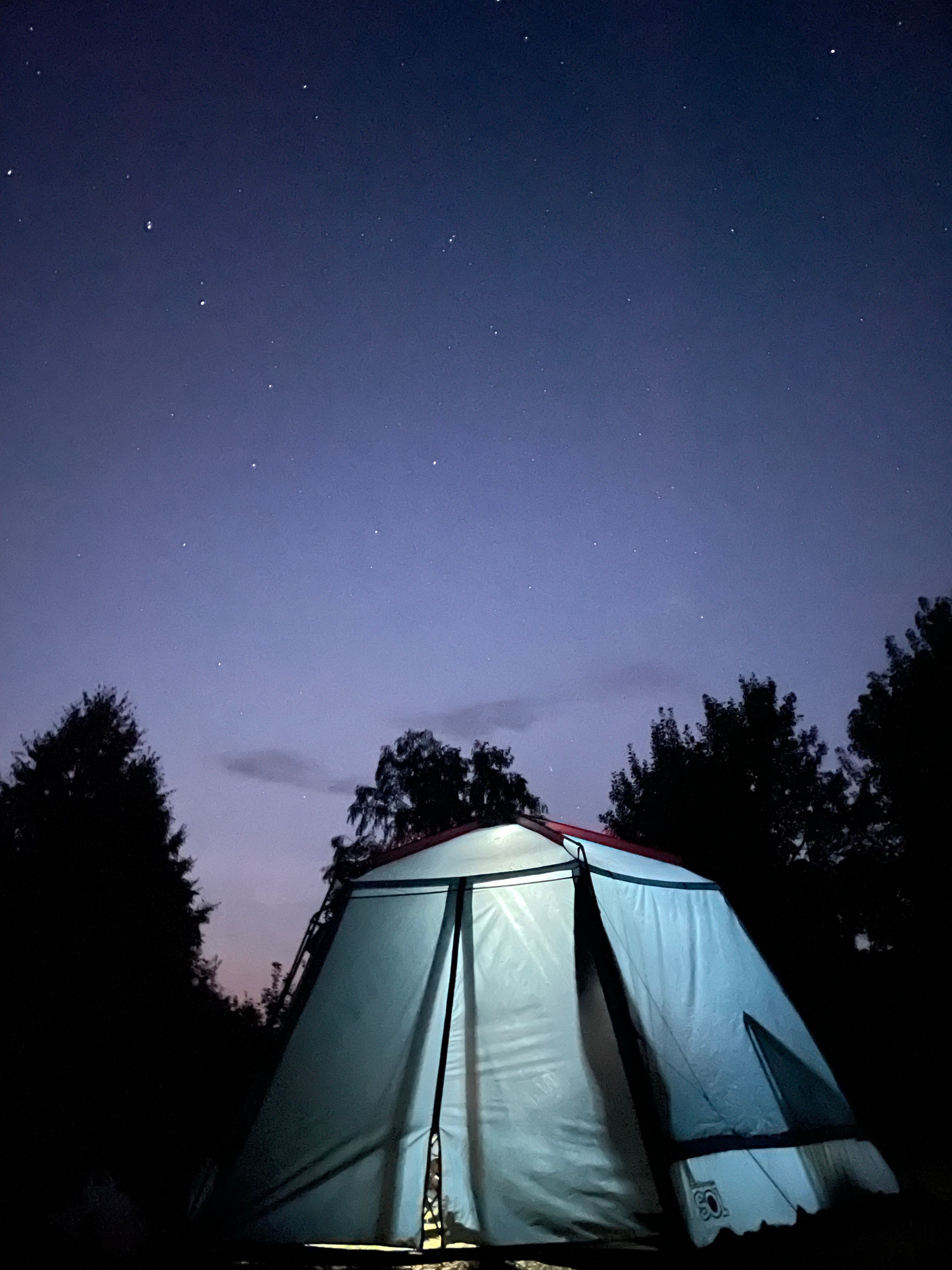 Photo of Blue and Yellow Lighted Dome Tent Surrounded by Plants during ...