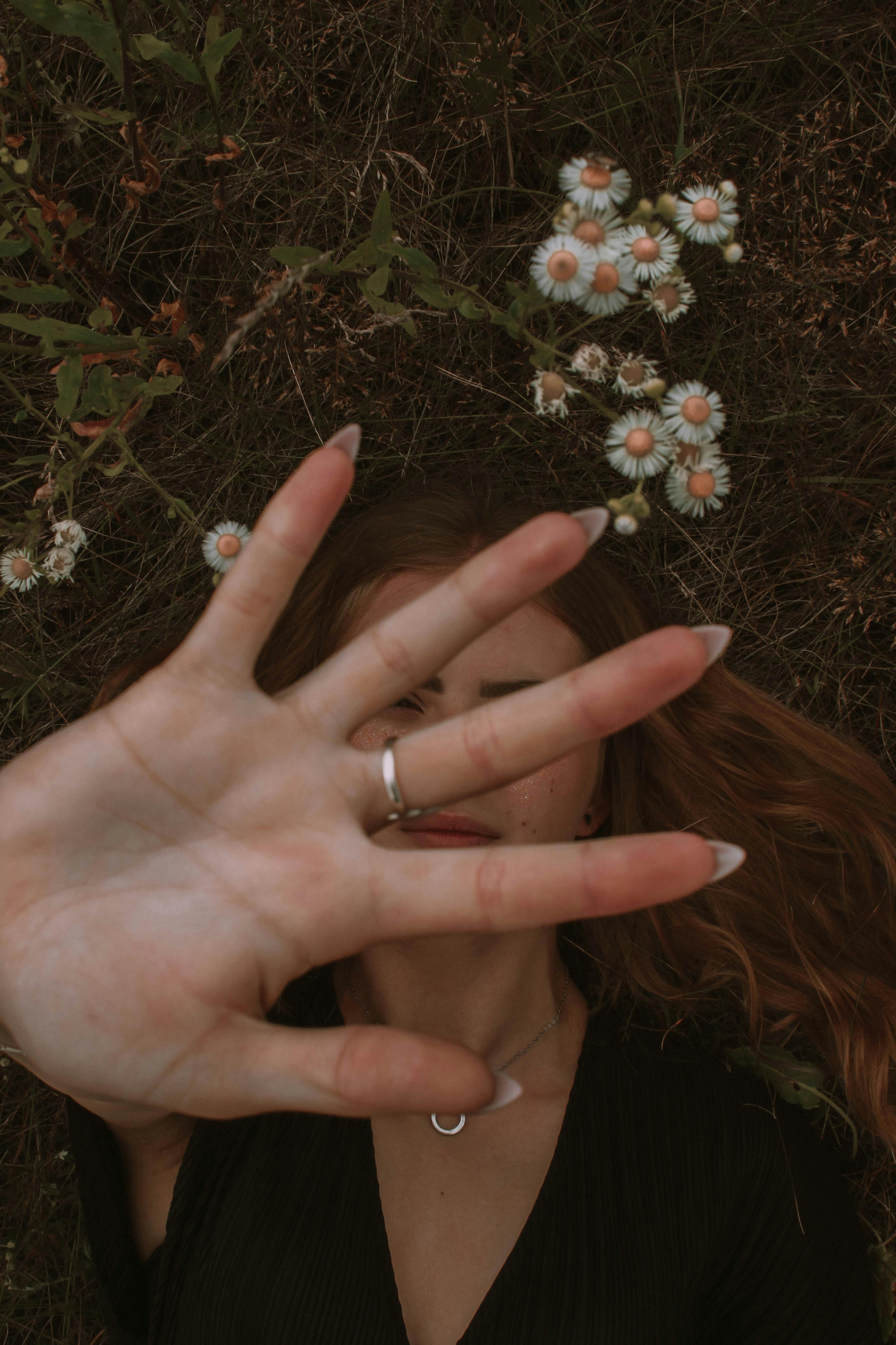 Alpha+Blocks Photos, Download The BEST Free Alpha+Blocks Stock Photos ...