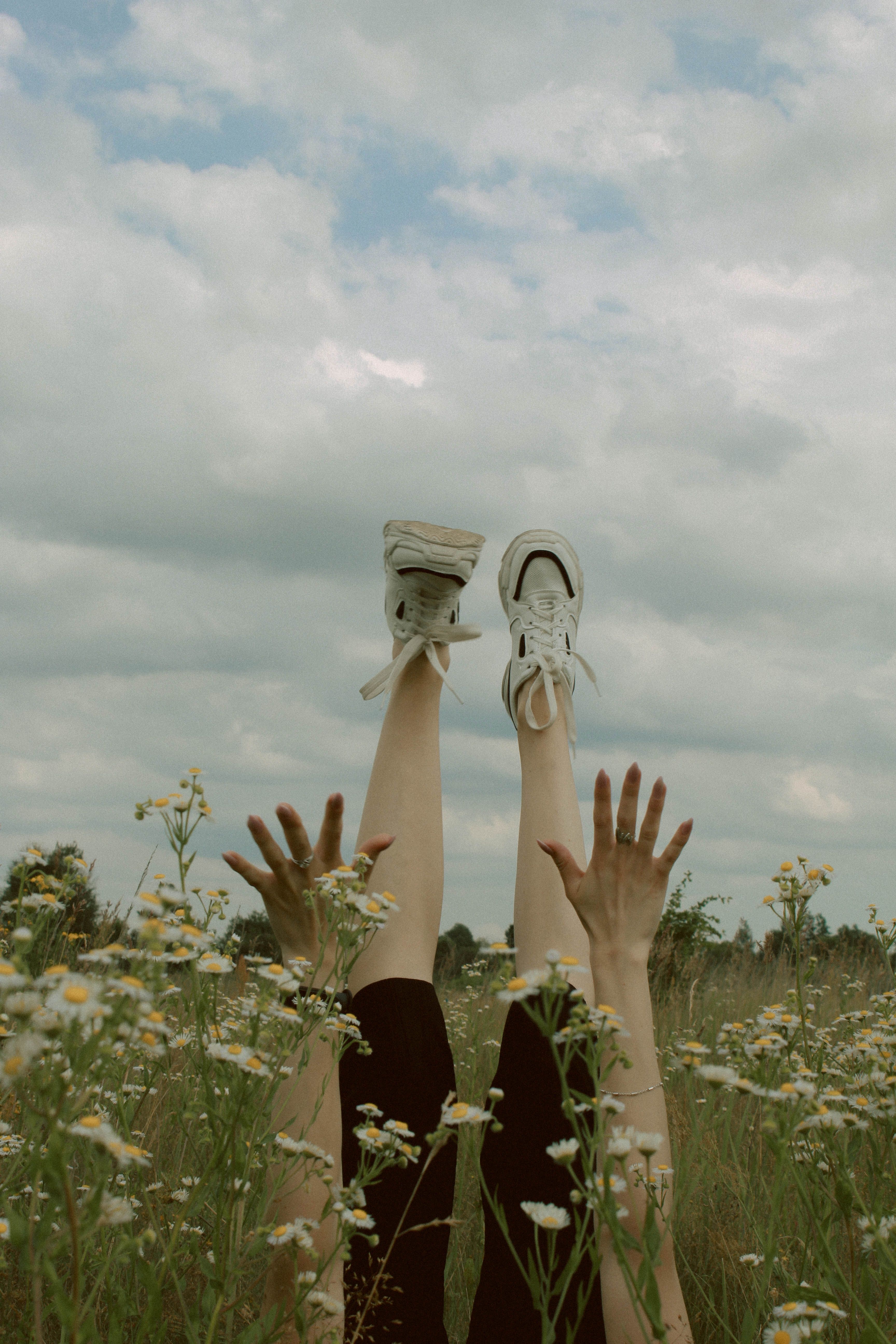 Relaxed Summer Day in Wildflower Field · Free Stock Photo