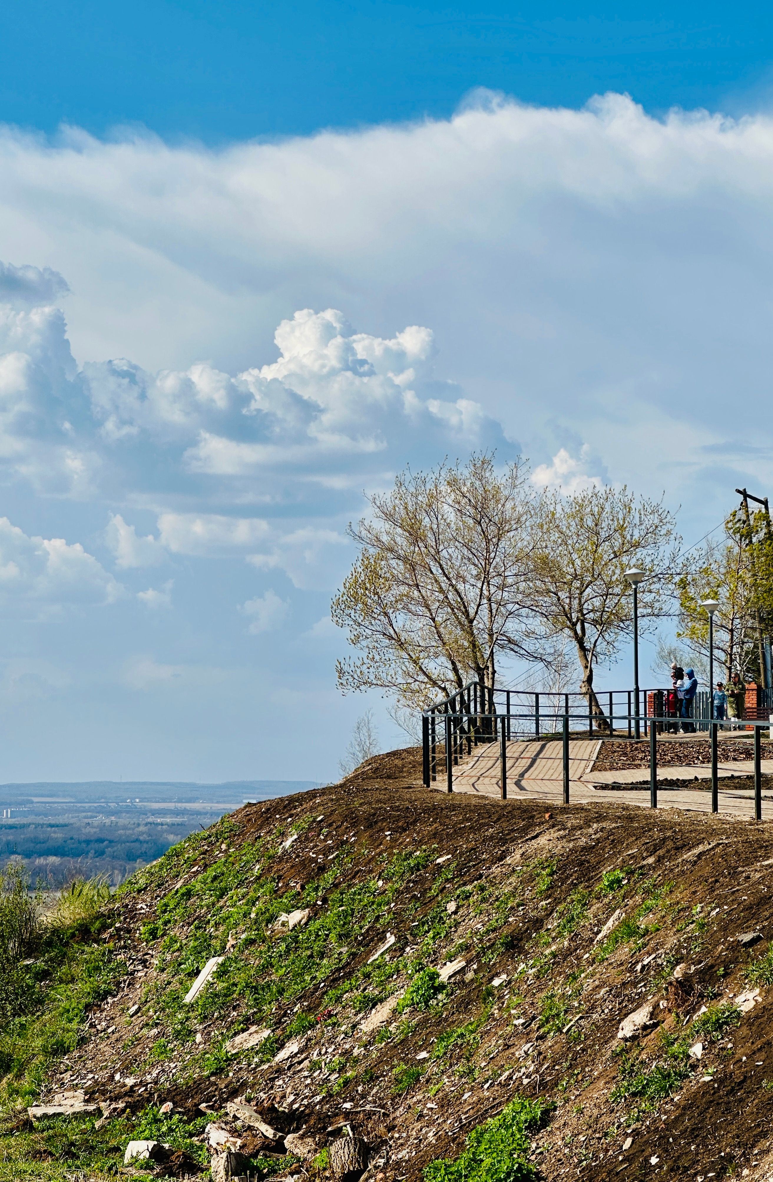 Scenic Hilltop Lookout with Fence and Trees · Free Stock Photo