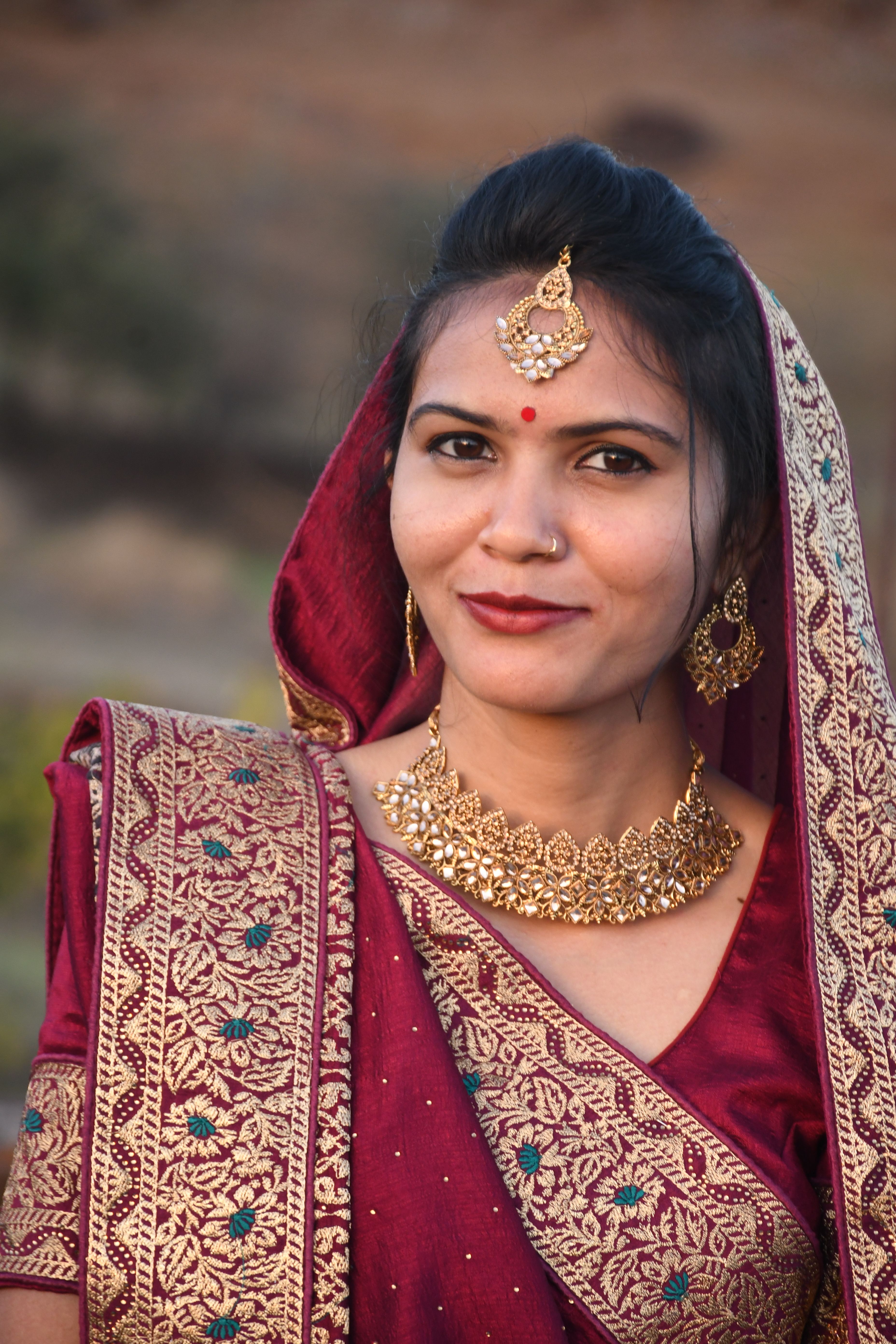 Indian Shaadi Photos, Download The BEST Free Indian Shaadi Stock Photos ...
