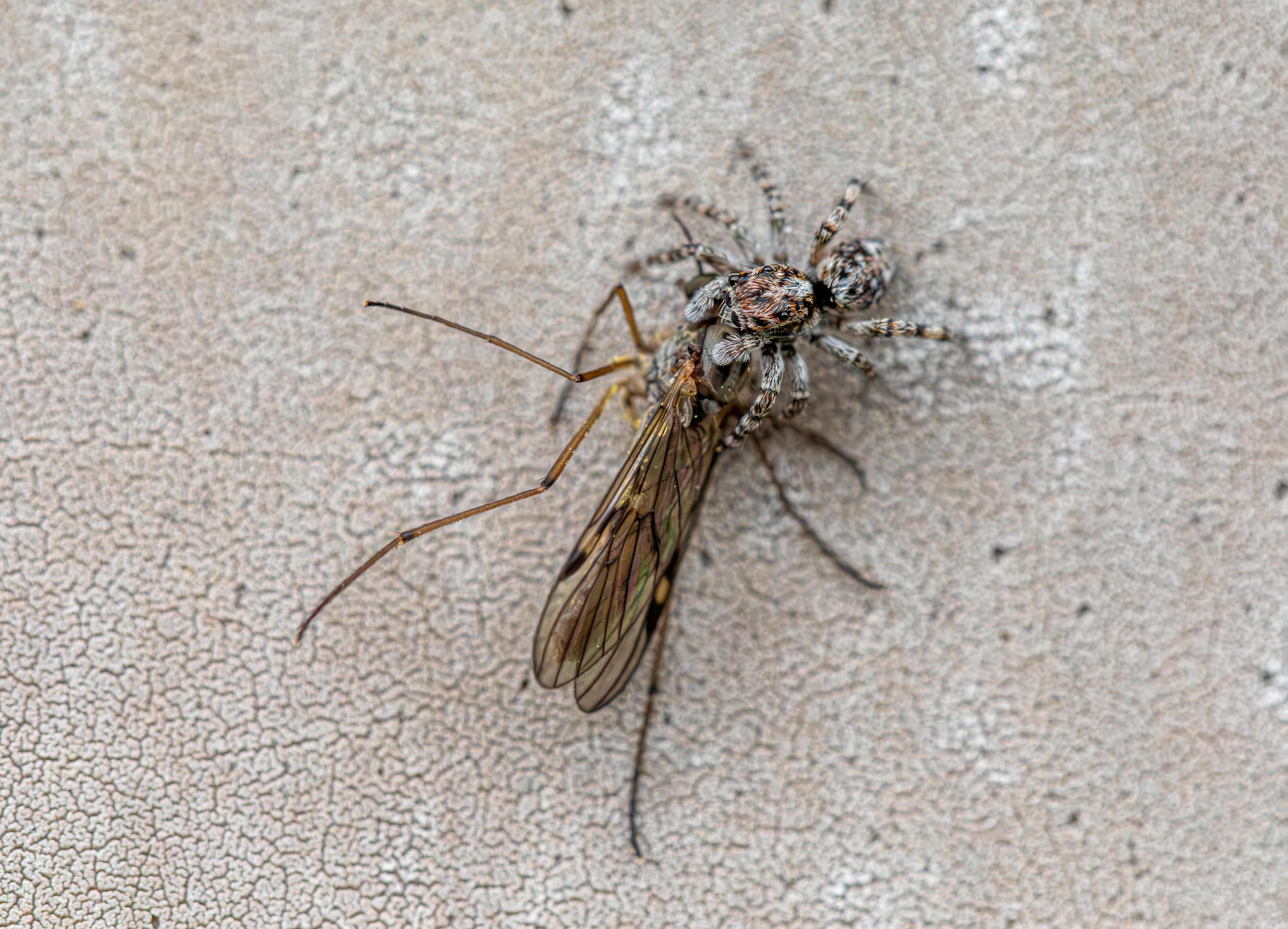 Viber Background Photos, Download The BEST Free Viber Background Stock ...