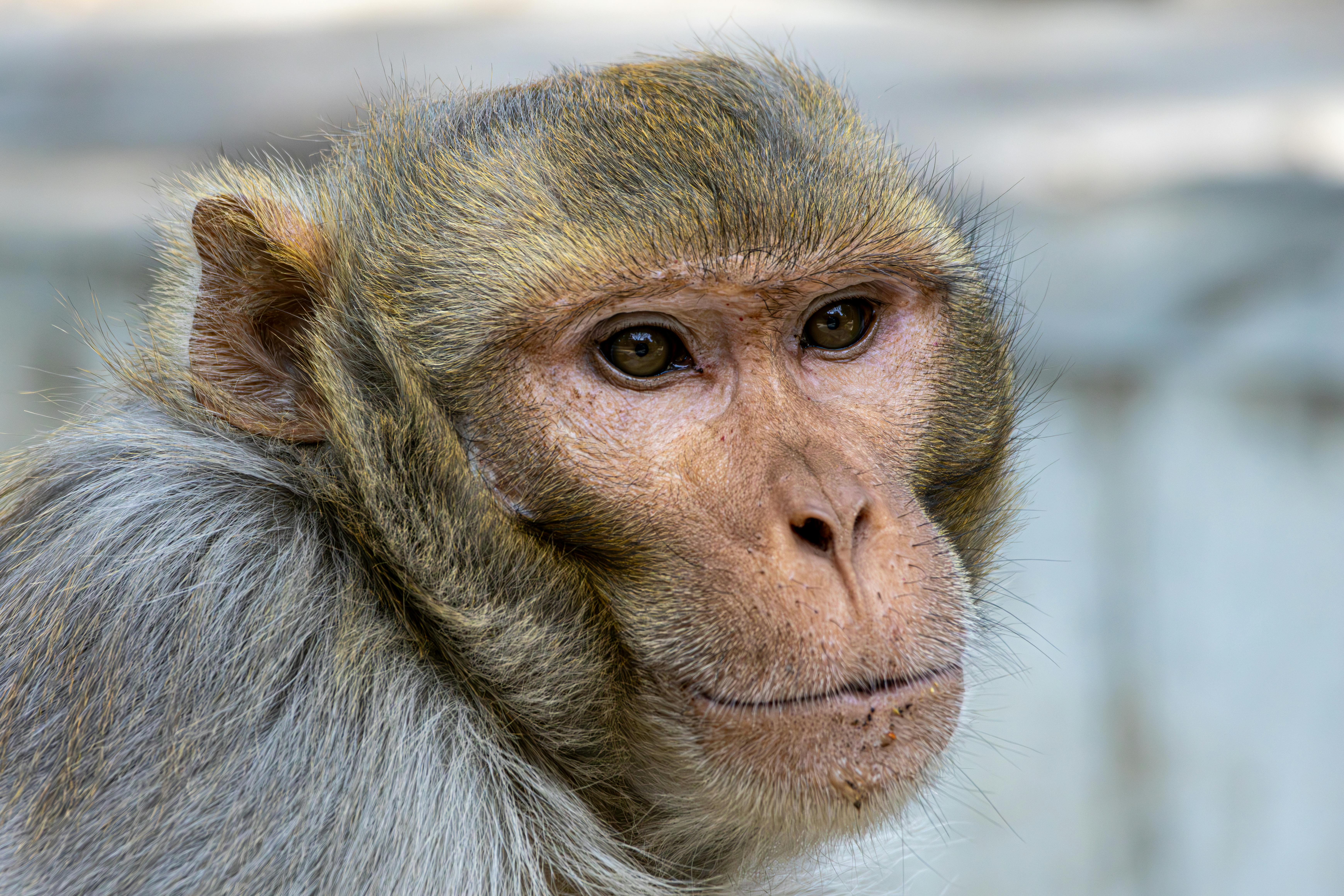 Bien Intelligent Photos, Download The BEST Free Bien Intelligent Stock ...