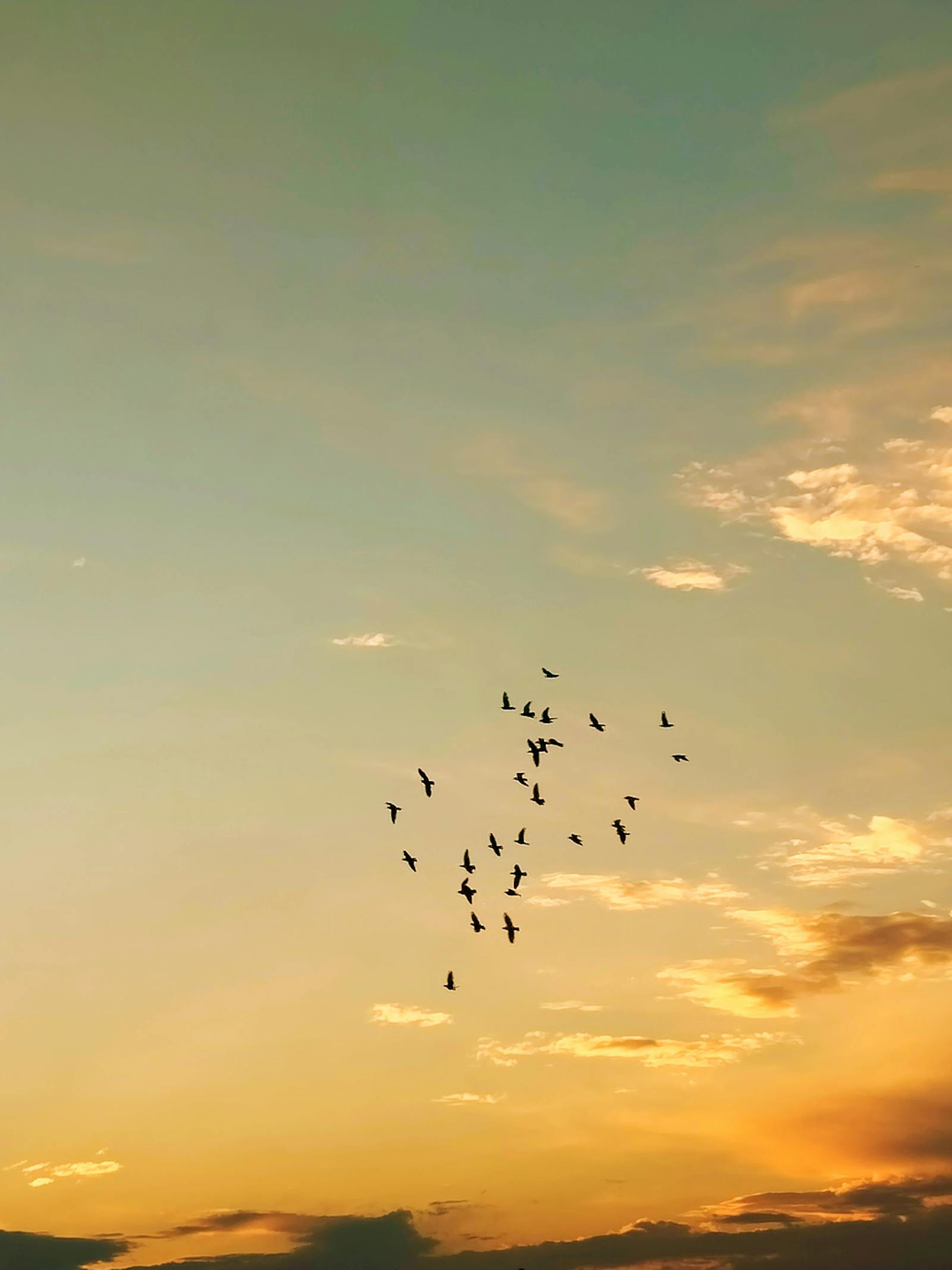 Bing+Homepage+Quiz+Jigsaw+Puzzles+2015+Images+Free+Down Photos ...