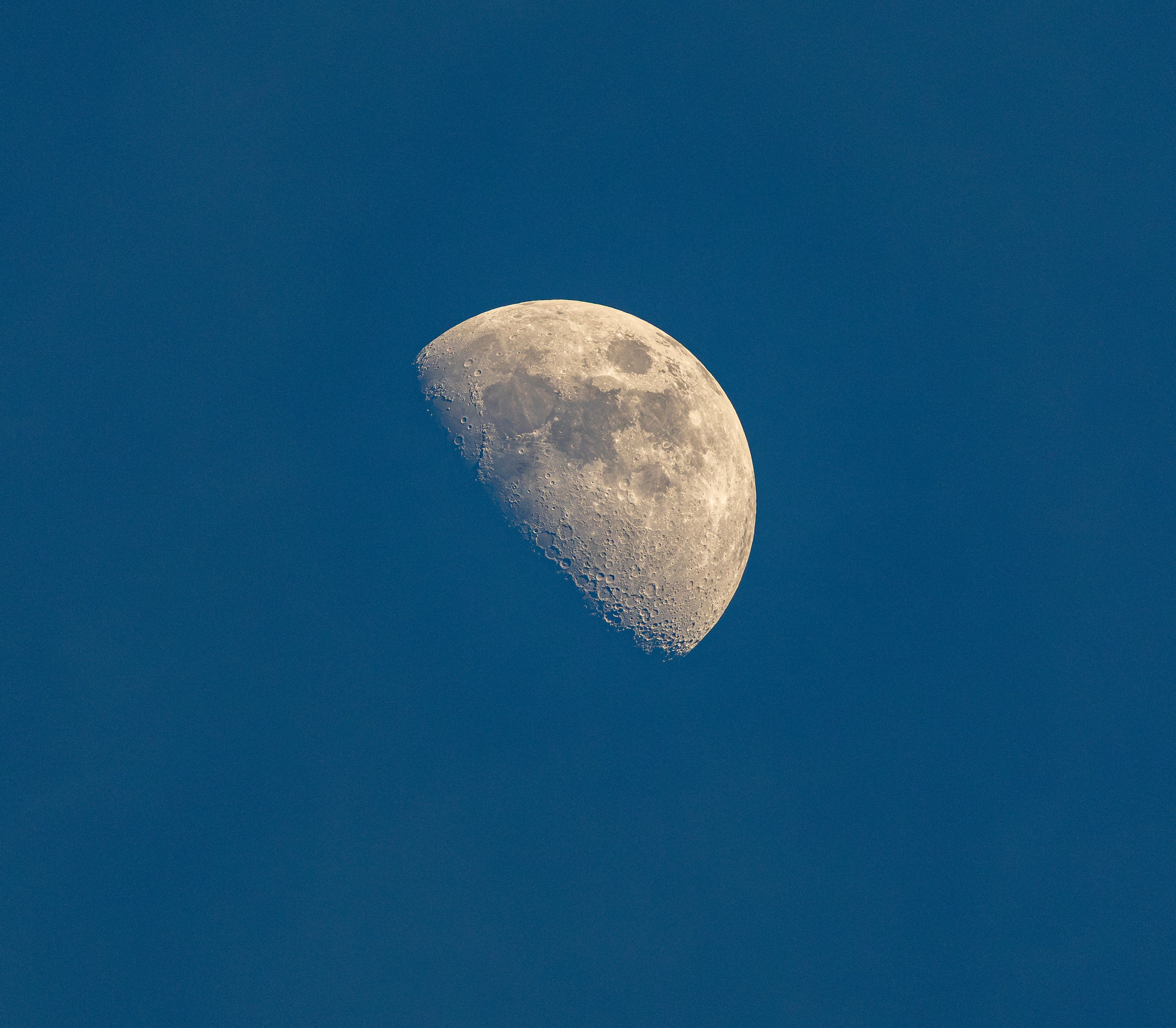 Crisp Half Moon in Clear Sky at Dusk · Free Stock Photo