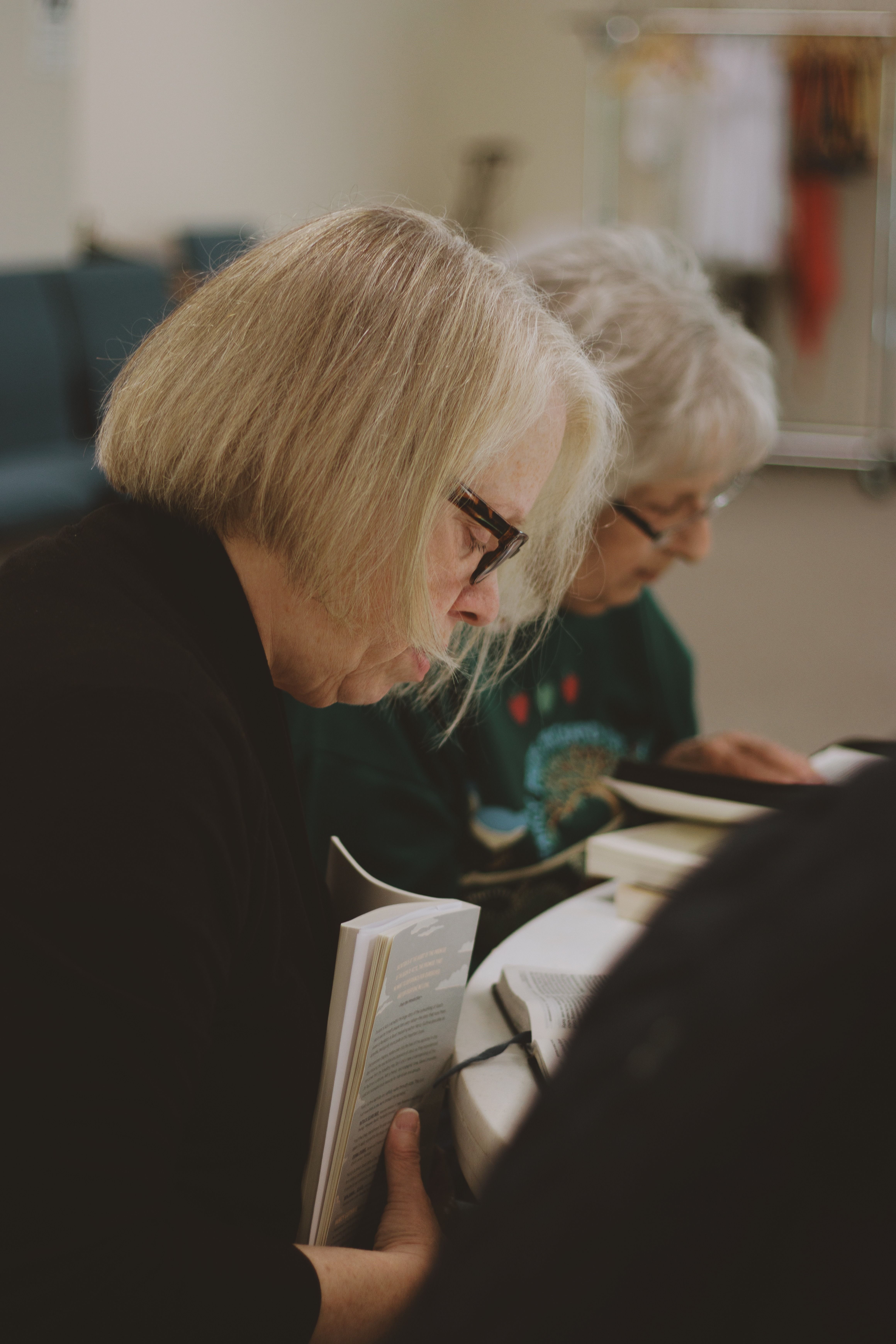 Women Engaged in Bible Study Session · Free Stock Photo